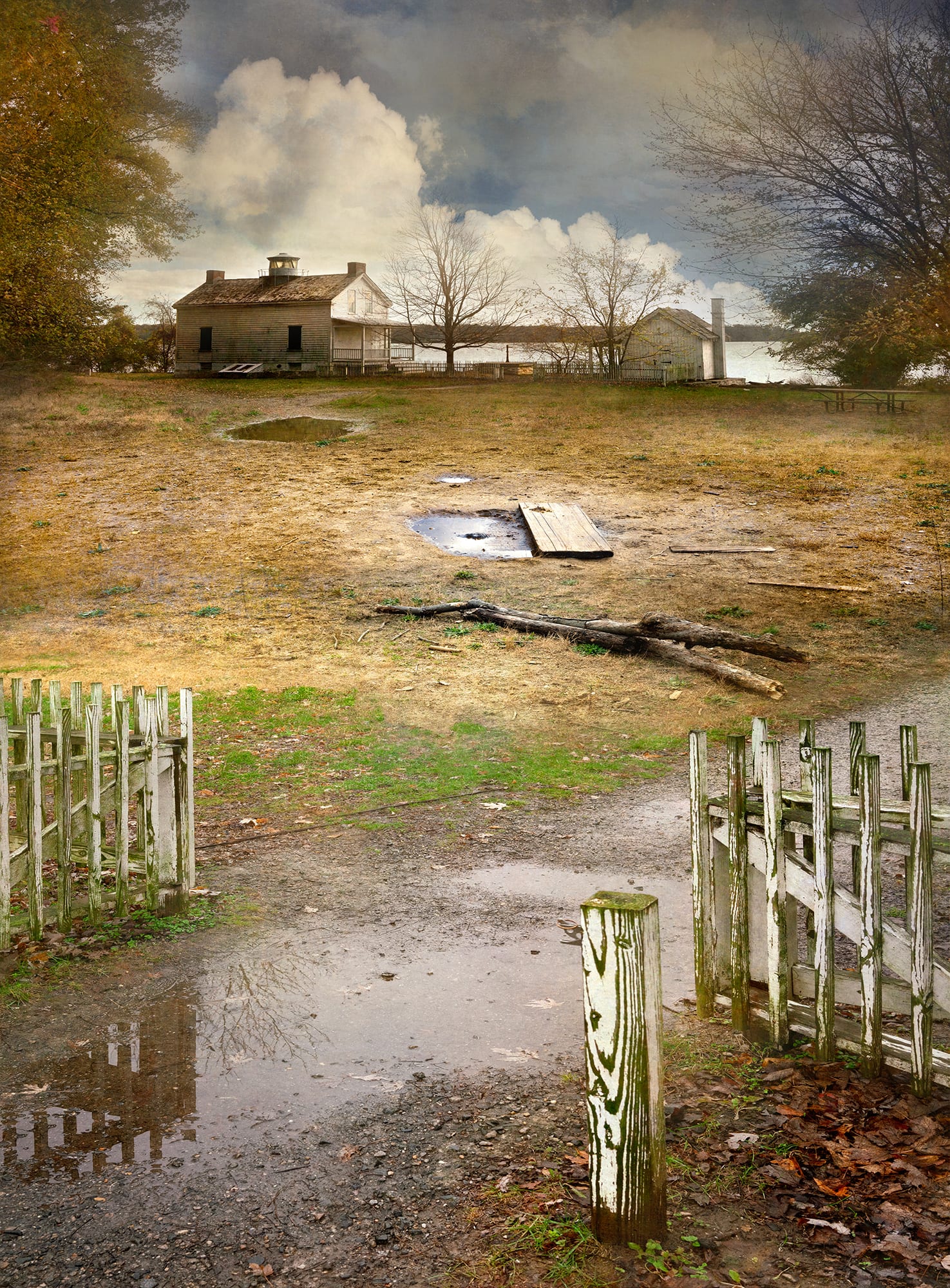 David Douglas, Invented Landscape at Jones Point, 2022 | Bond Millen ...