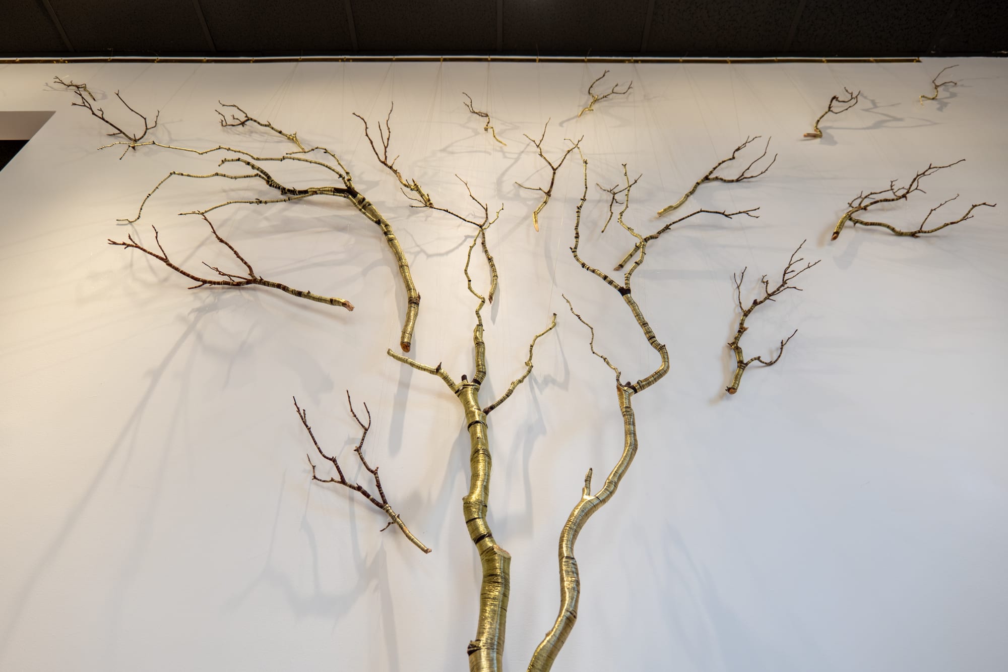 Peter Cochrane, A Continuum, 2025 | Bond Millen Gallery