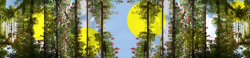 Helen Sear, Pergola Sunrise, 2020 | THE HYMAN COLLECTION