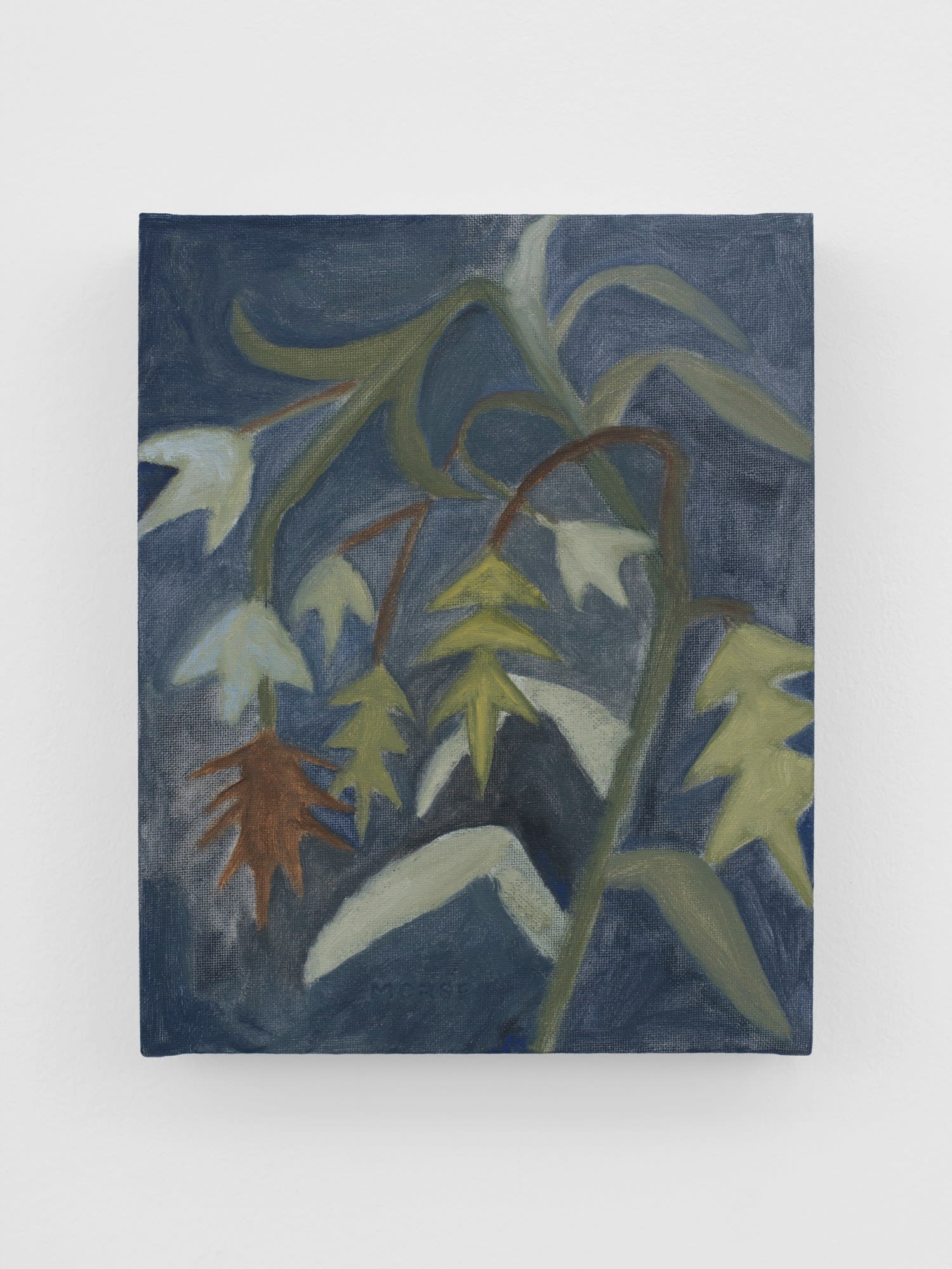 James Morse, Starlight Never Fades, 2023 | Cob Gallery