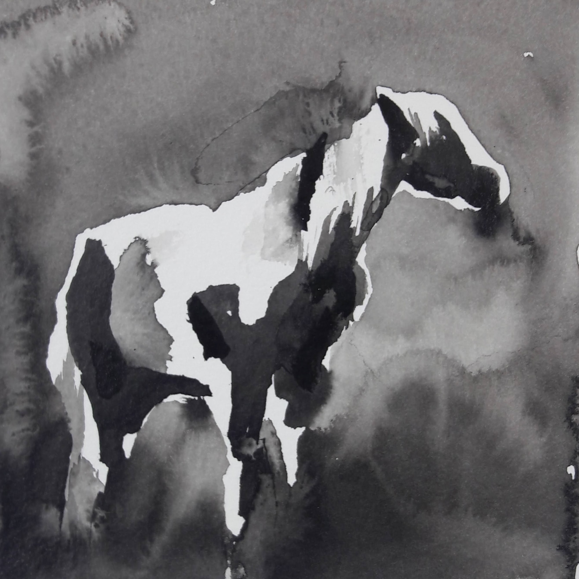 Liam Spencer - Exhibitions | Contemporary Six