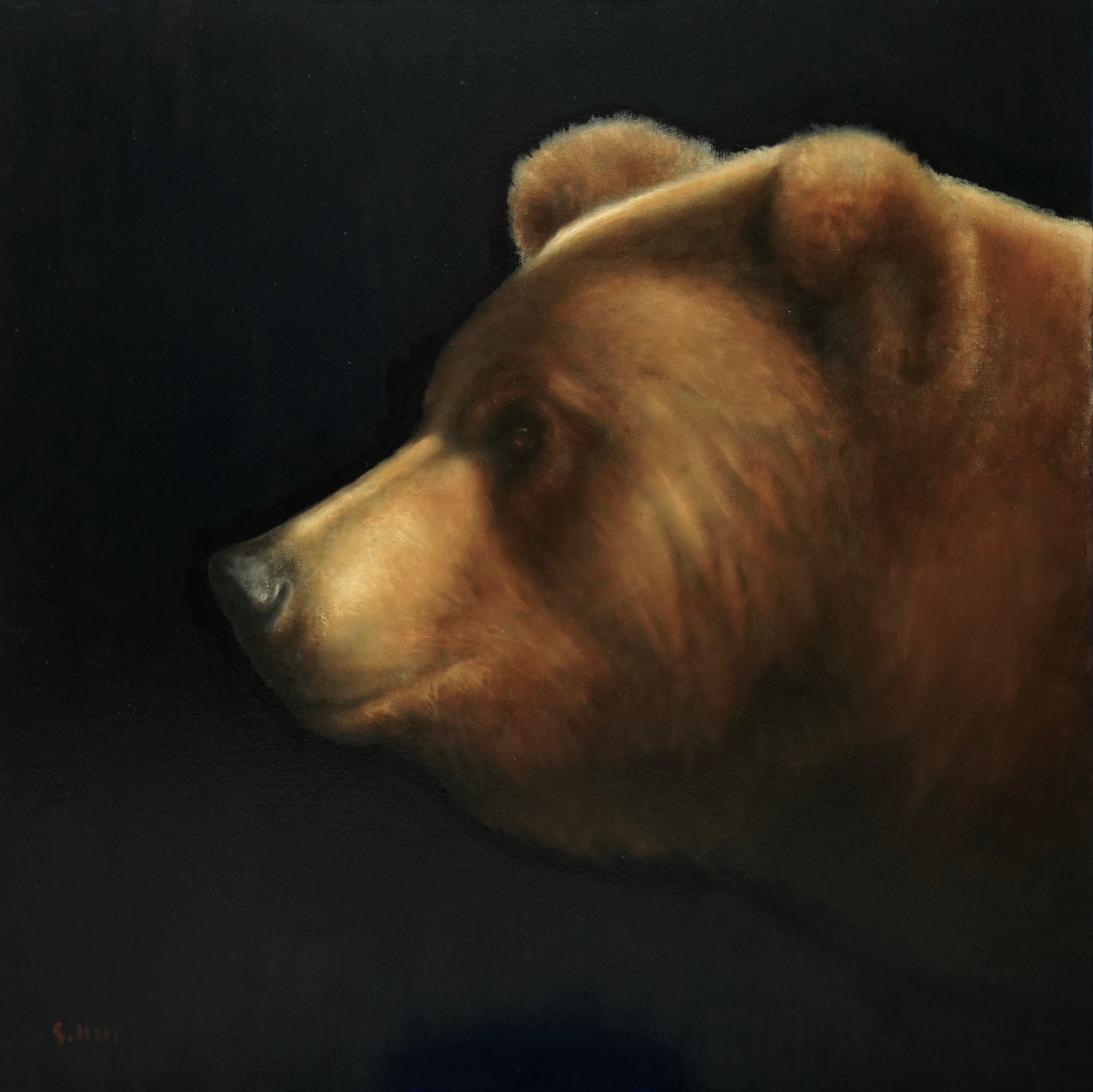 George Hill, Ursus Arctos | Courtney Collins Fine Art