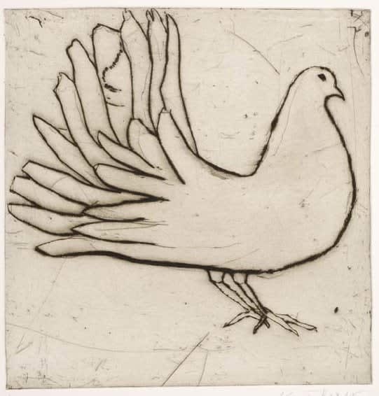Kate Boxer, Fantail Dove (Unframed) | Cricket Fine Art