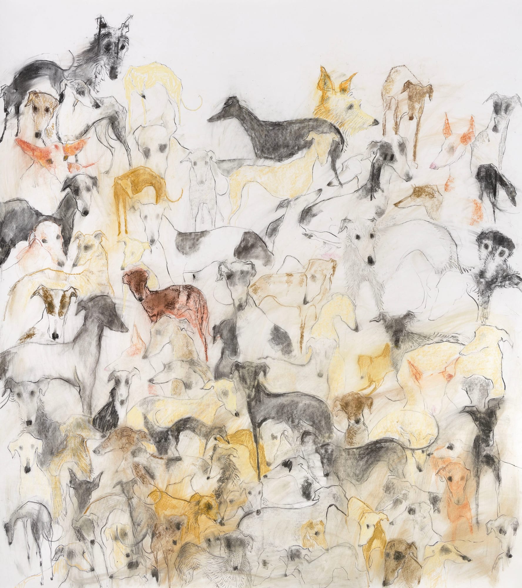 Sally Muir, Galgos del Sol | Cricket Fine Art