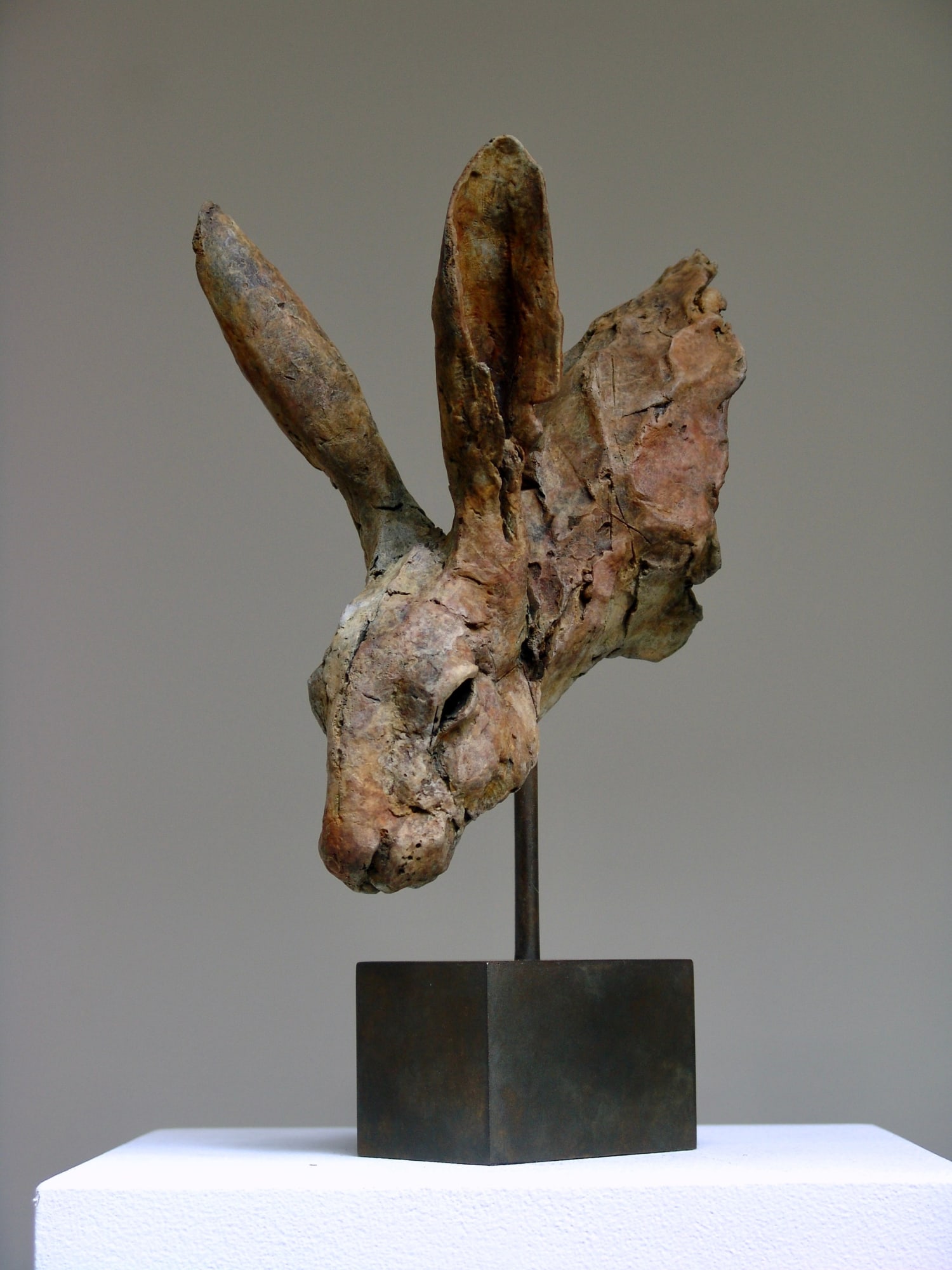 Nichola Theakston | Sculpturen | Primaten | Terracotta | Brons | De KunstSalon