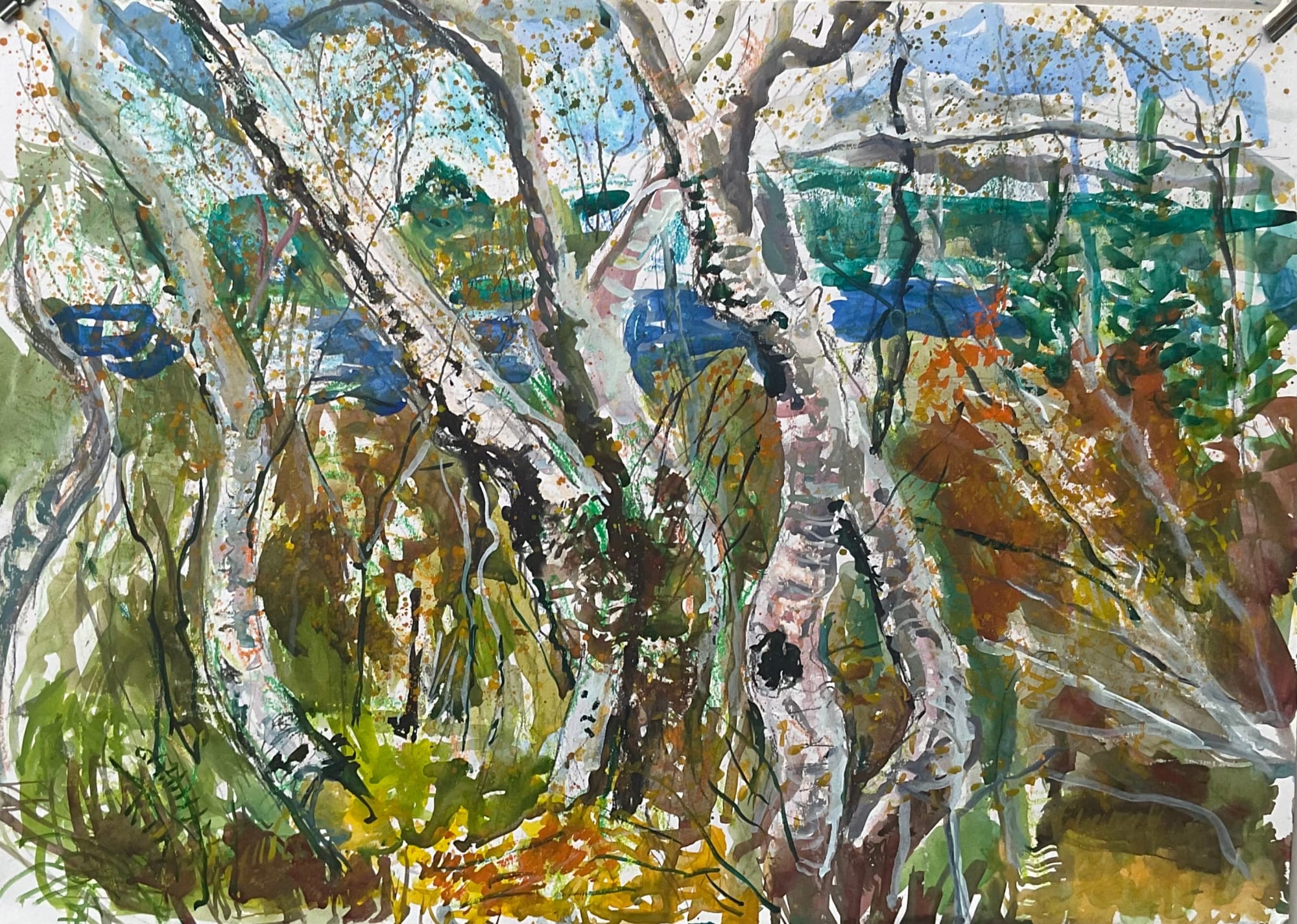 Neal Greig RUA, Spring Woods, Skye | Graystone Gallery