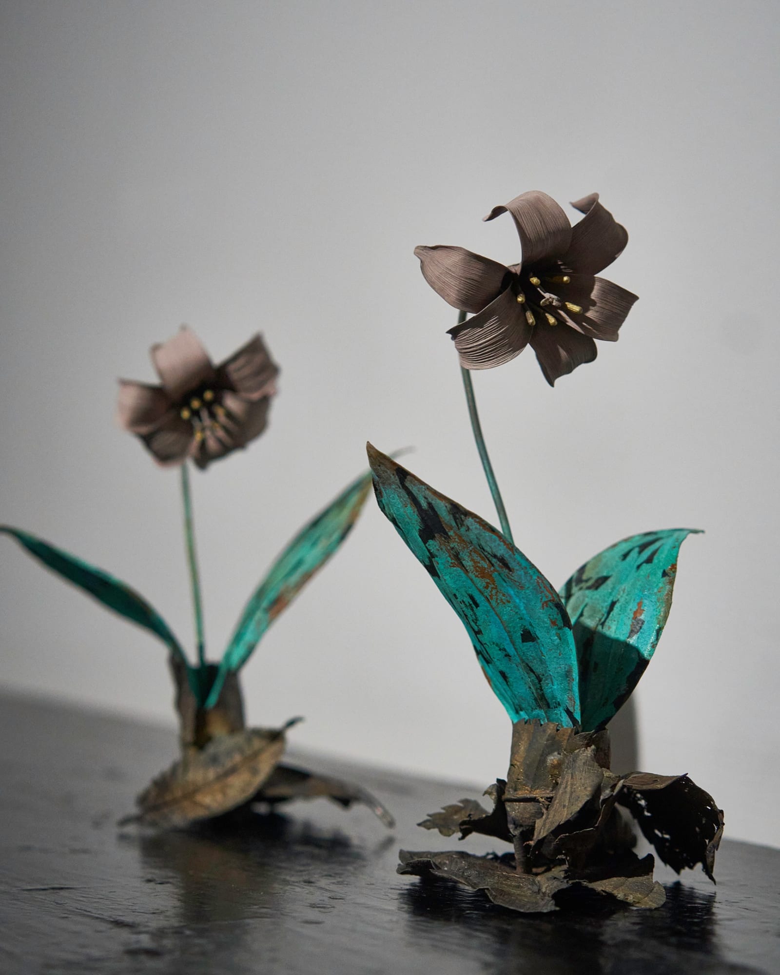 Shota Suzuki, 片栗 - Lily, 2023 | Ippodo Gallery