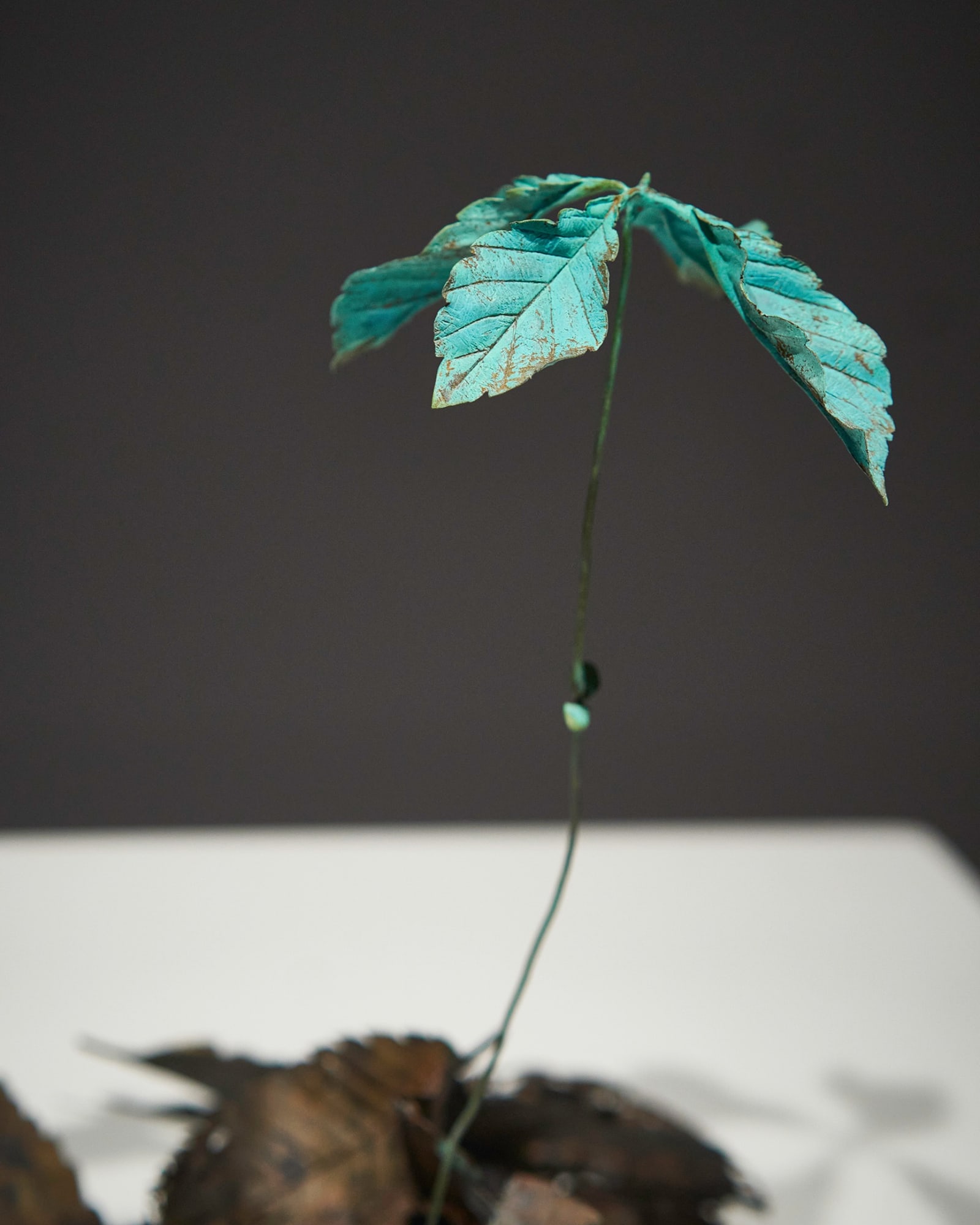 Shota Suzuki, 天地 - Ametsuchi, 2023 | Ippodo Gallery