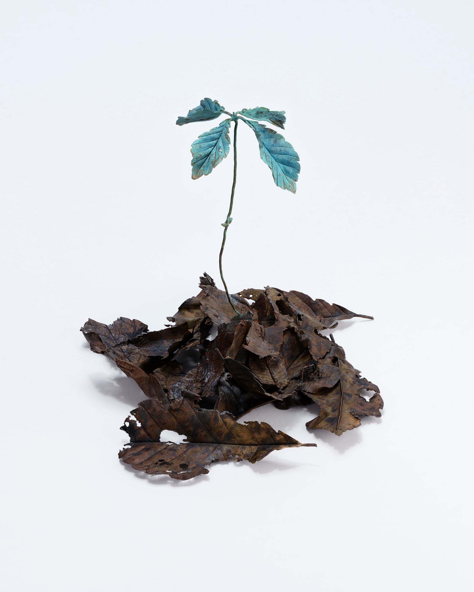 Shota Suzuki, 天地 - Ametsuchi, 2023 | Ippodo Gallery