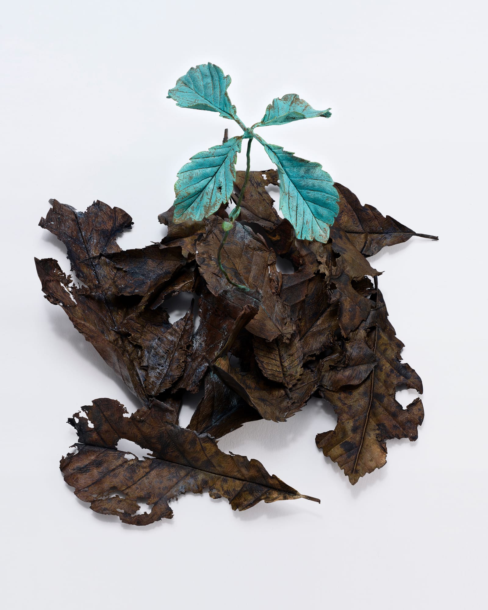 Shota Suzuki, 天地 - Ametsuchi, 2023 | Ippodo Gallery