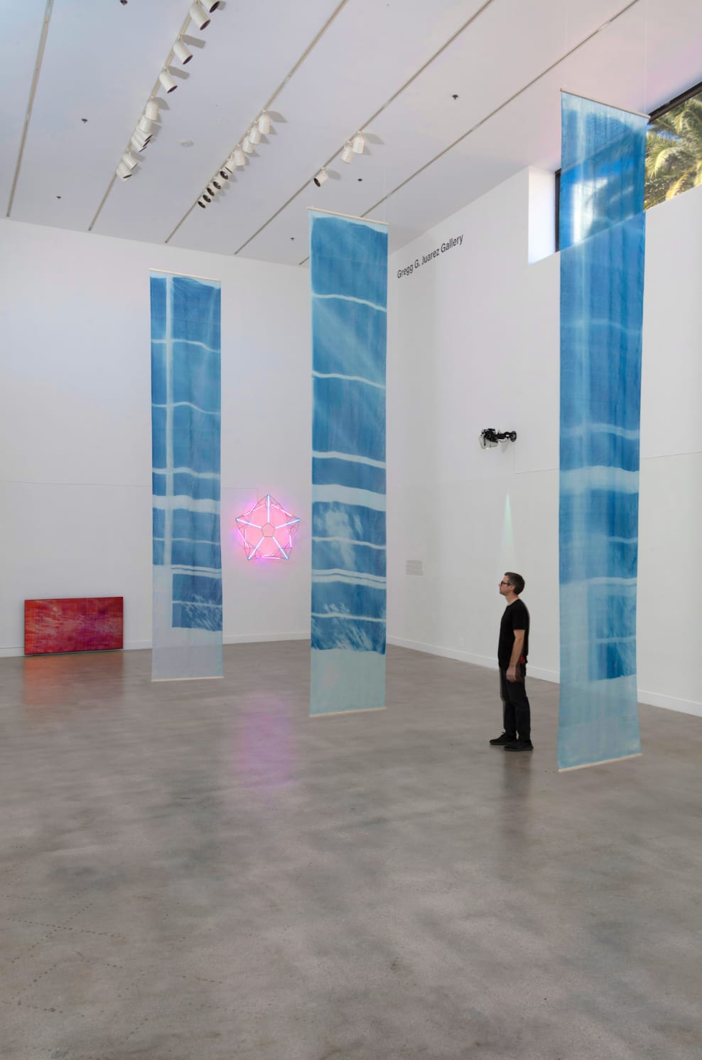 James Clar, Sunlight Filtered Through The Eames House, 2024 | Lawrie ...