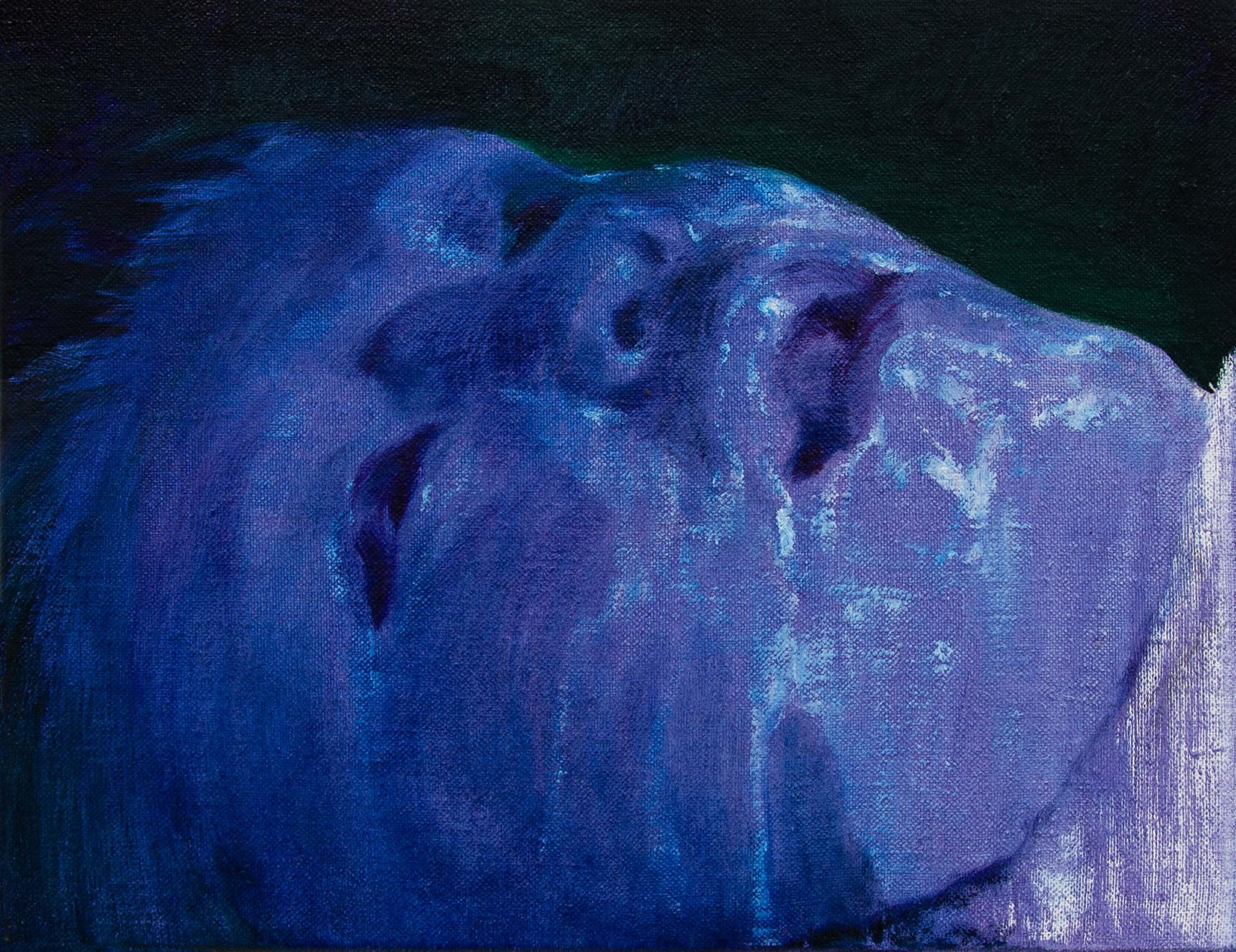 XIE Lei, Dissolves II, 2021 | Galerie Marguo