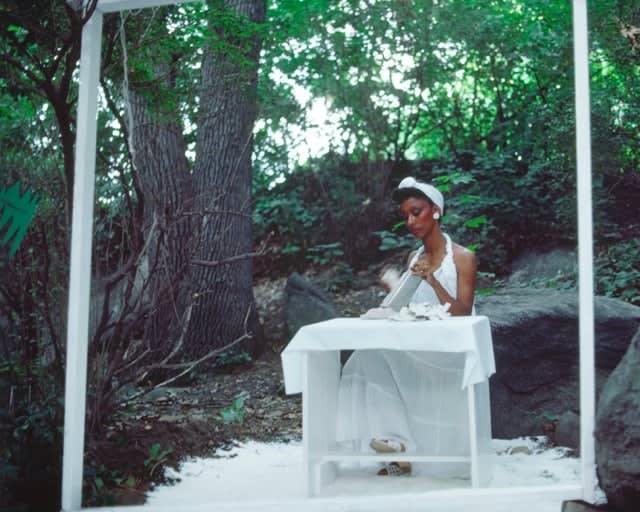 Lorraine O'Grady, Rivers, First Draft: The Woman in White continues ...