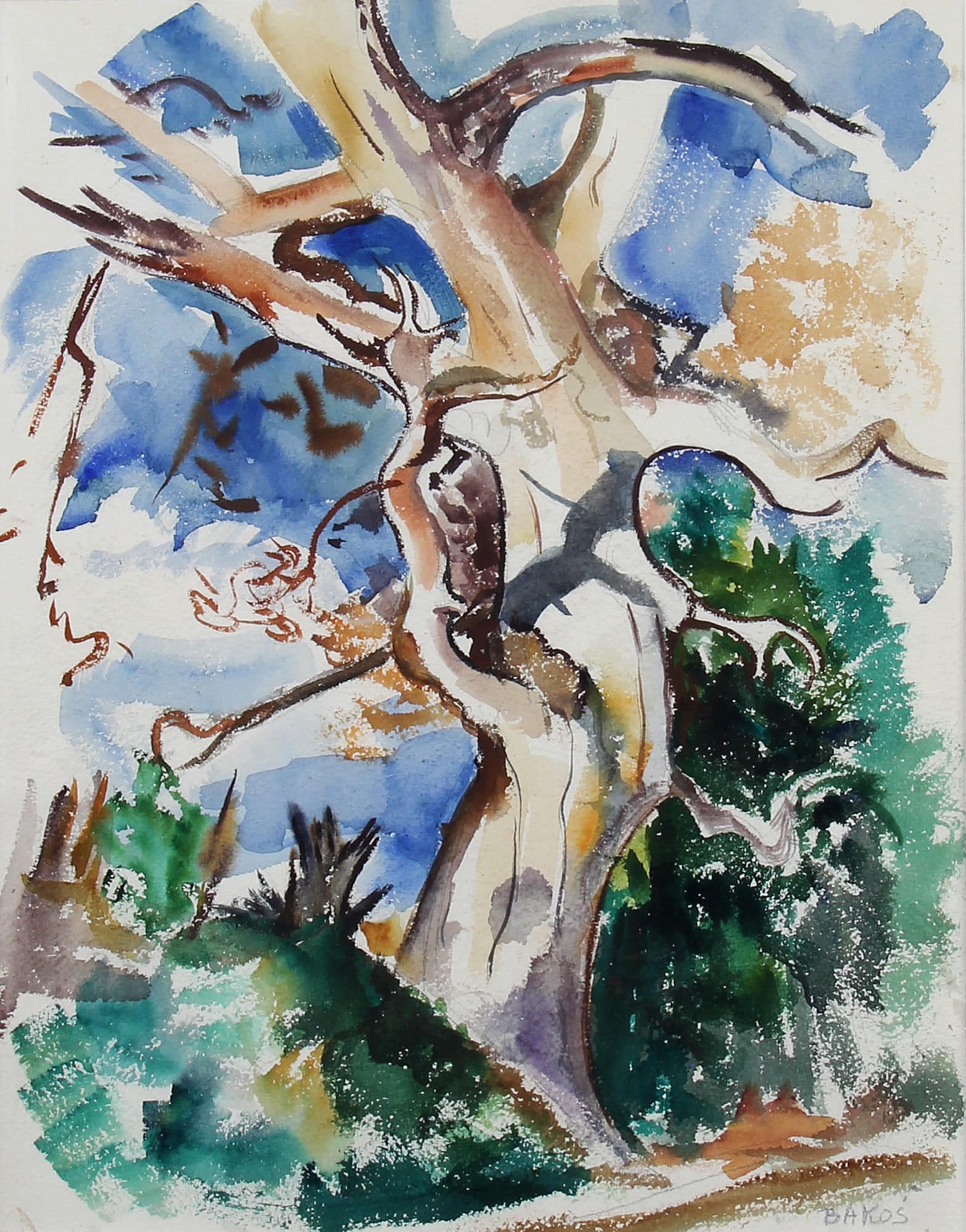 Jozef Bakos, Cottonwoods | Matthews Gallery