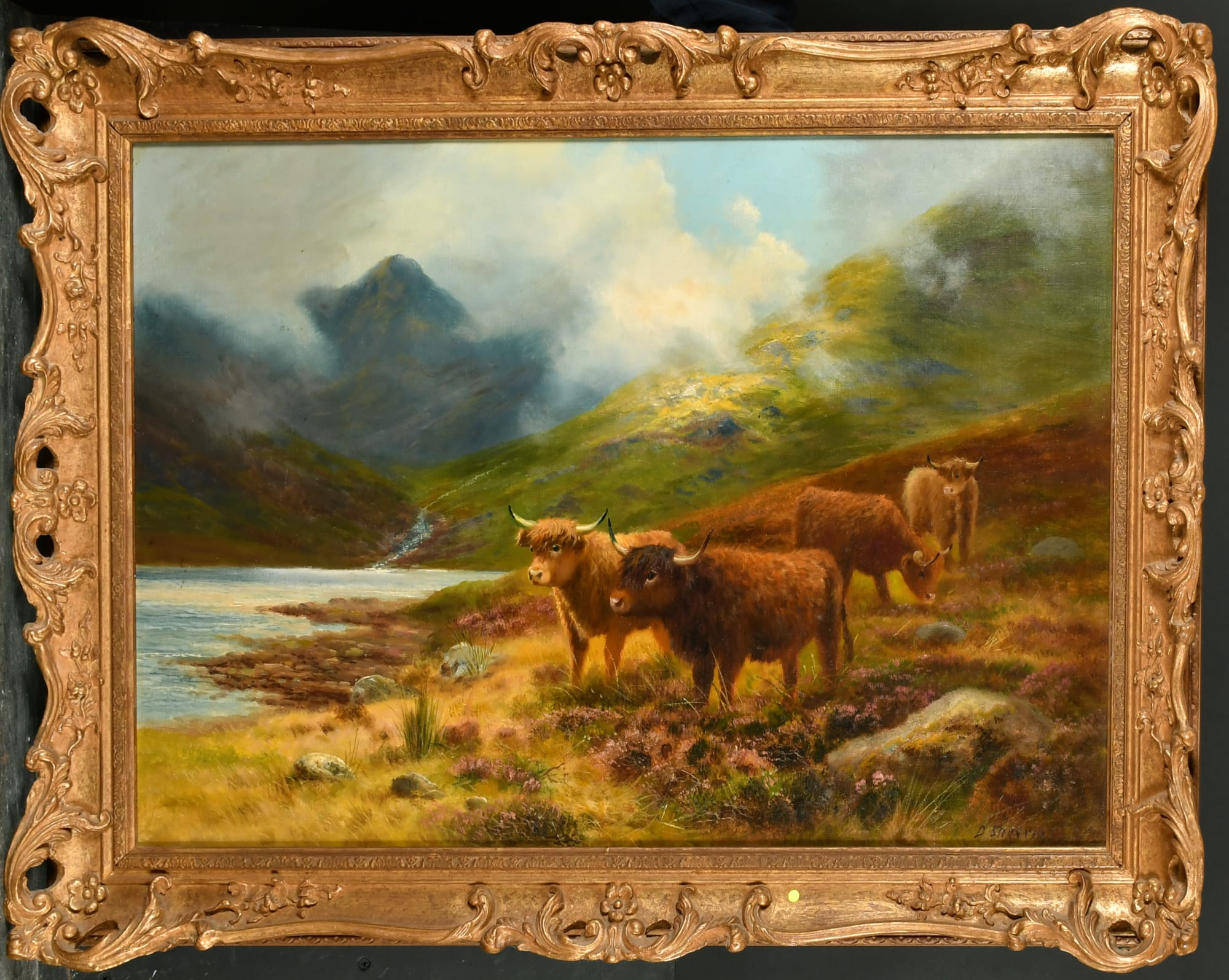 Daniel Sherrin, In the Highlands | McEwan Gallery