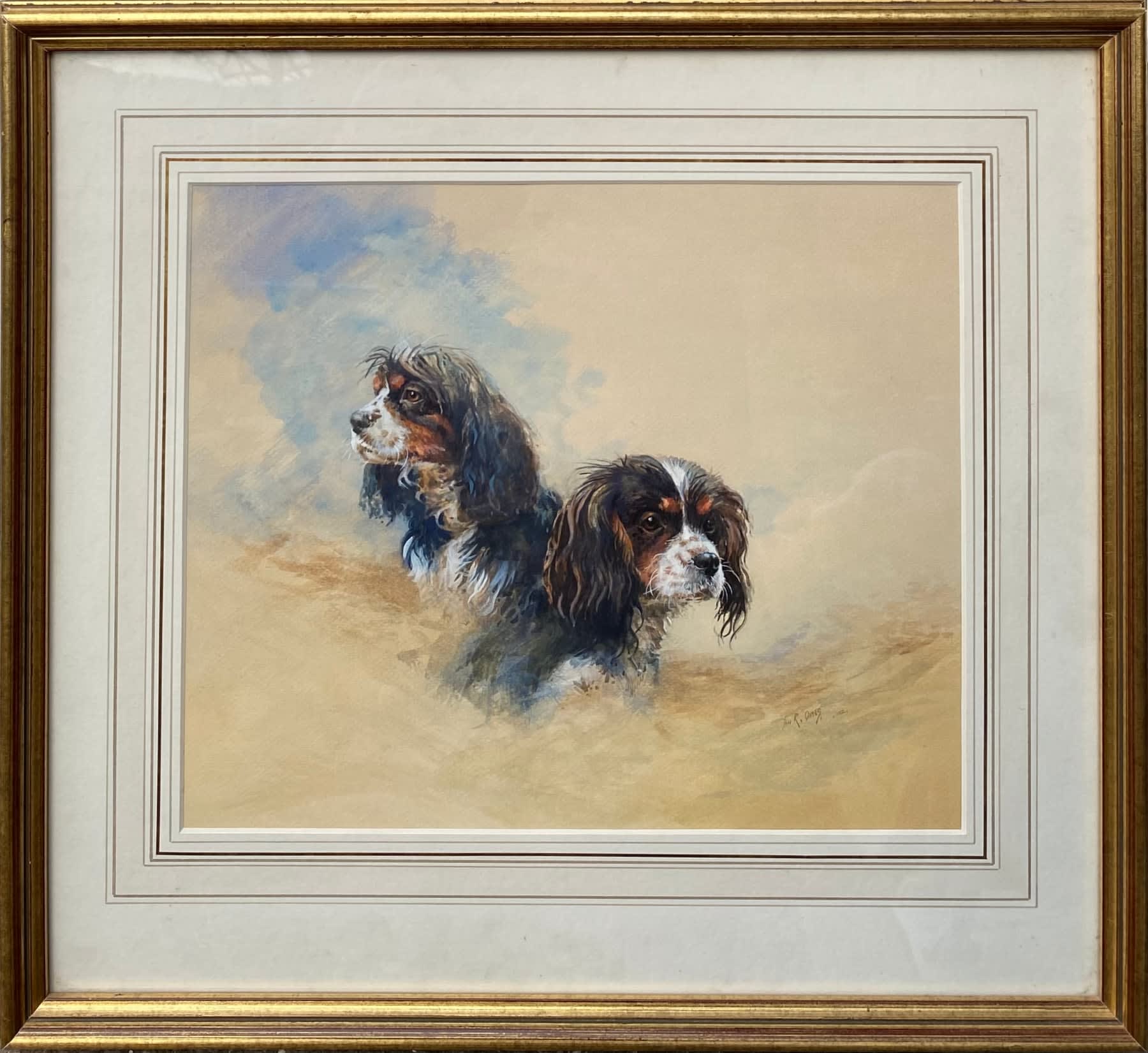 Ian Oates, Spaniel Studies | McEwan Gallery