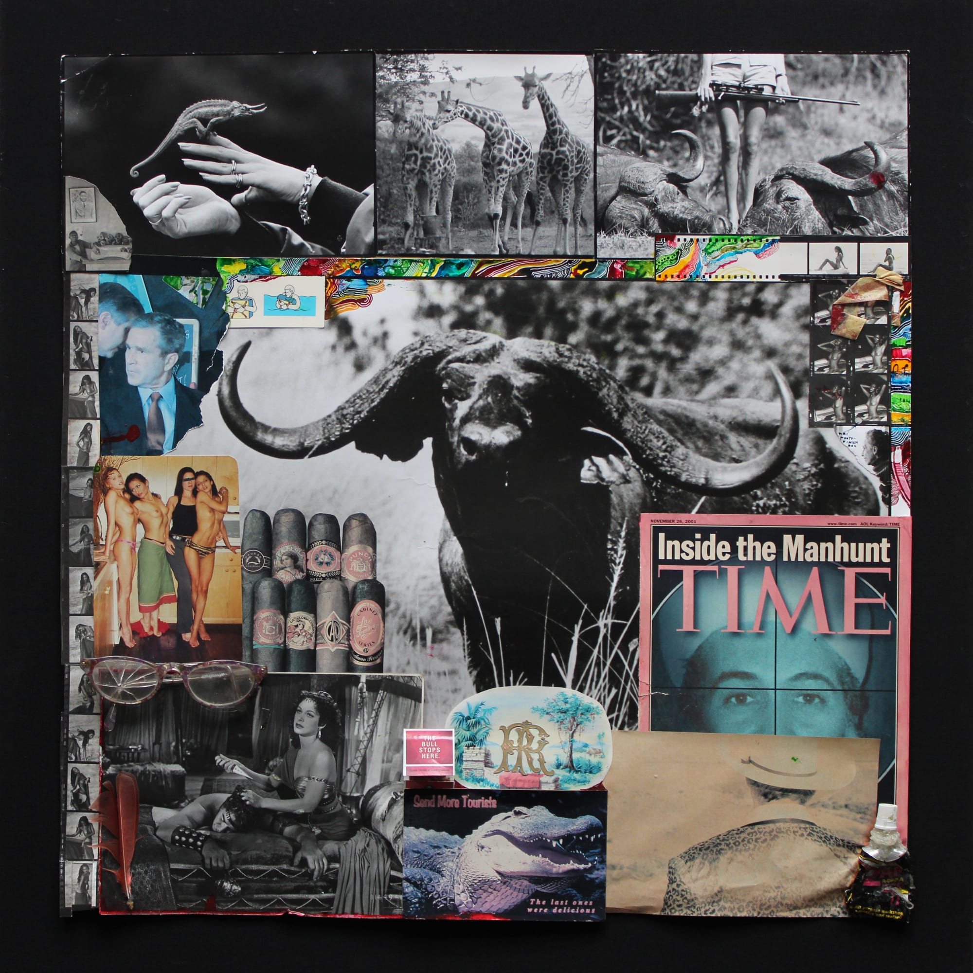 Peter Beard, Cape Buffalo Collage, 2002 | Michael Hoppen Gallery