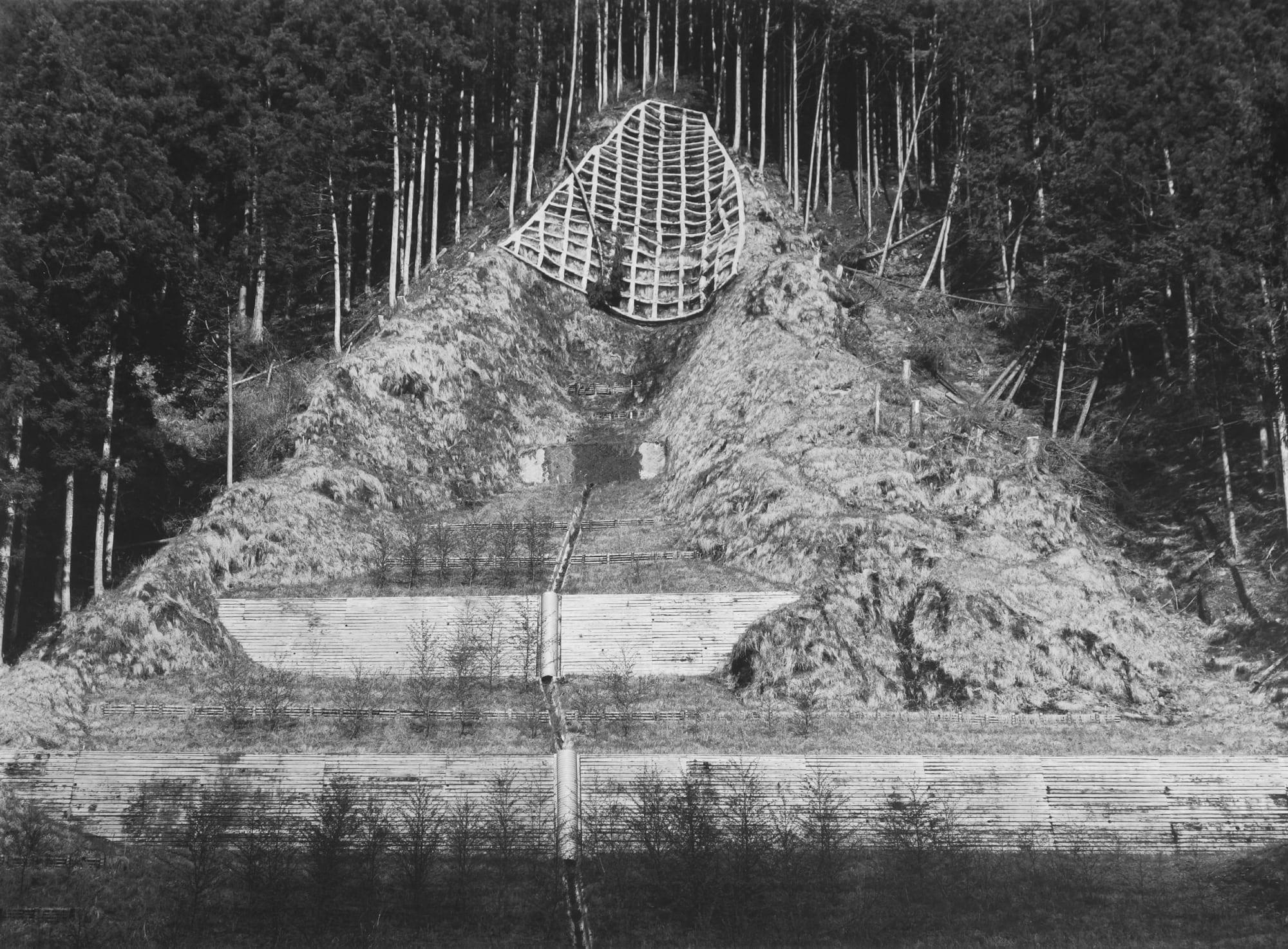 Toshio Shibata, Nikko City, Tochigi, Prefecture, 2005 | Michael Hoppen Gallery