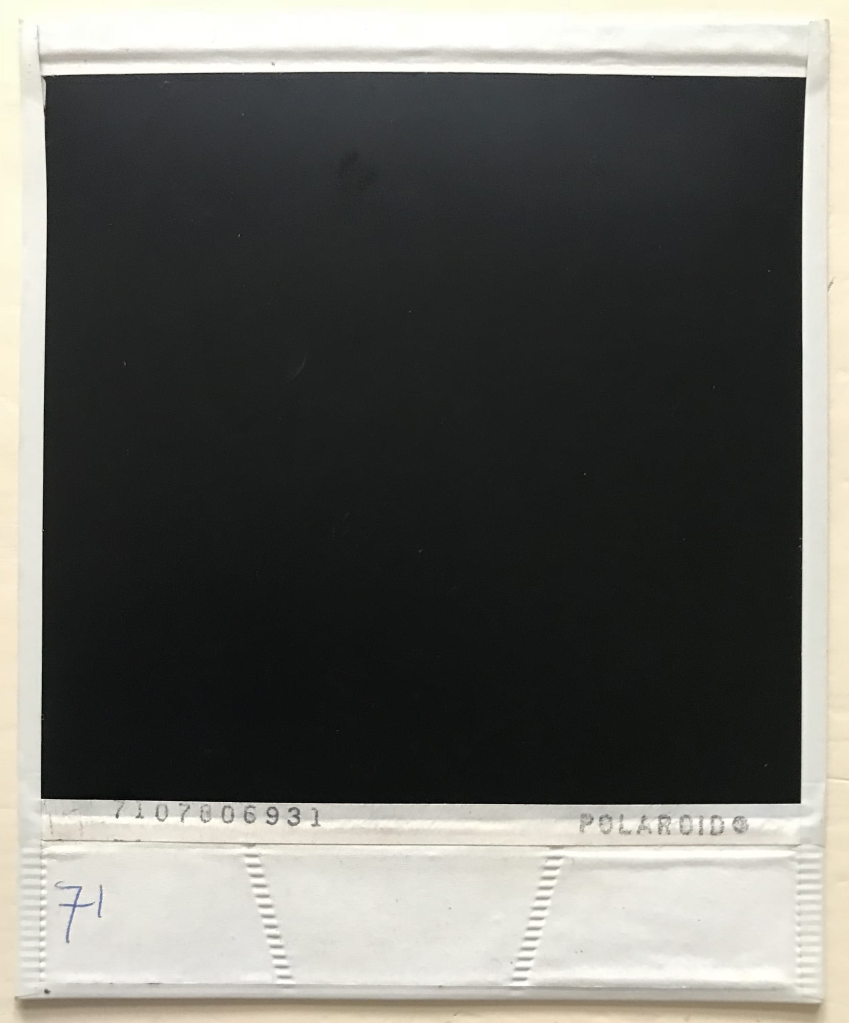 Andy Warhol, Polaroid Portrait of the artist, 1979 | MULTIPLESINC//