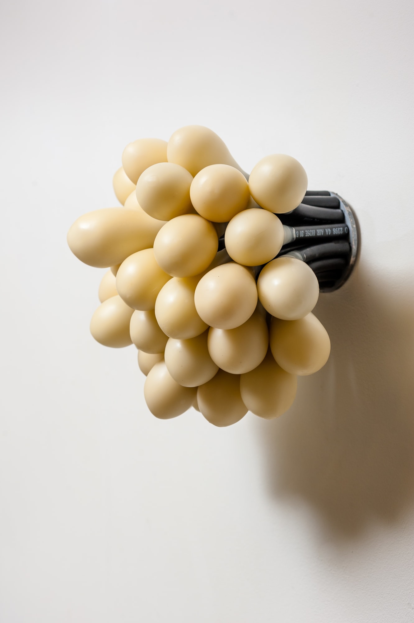 Susie MacMurray, Eve (Wall), 2013 | Pangolin London