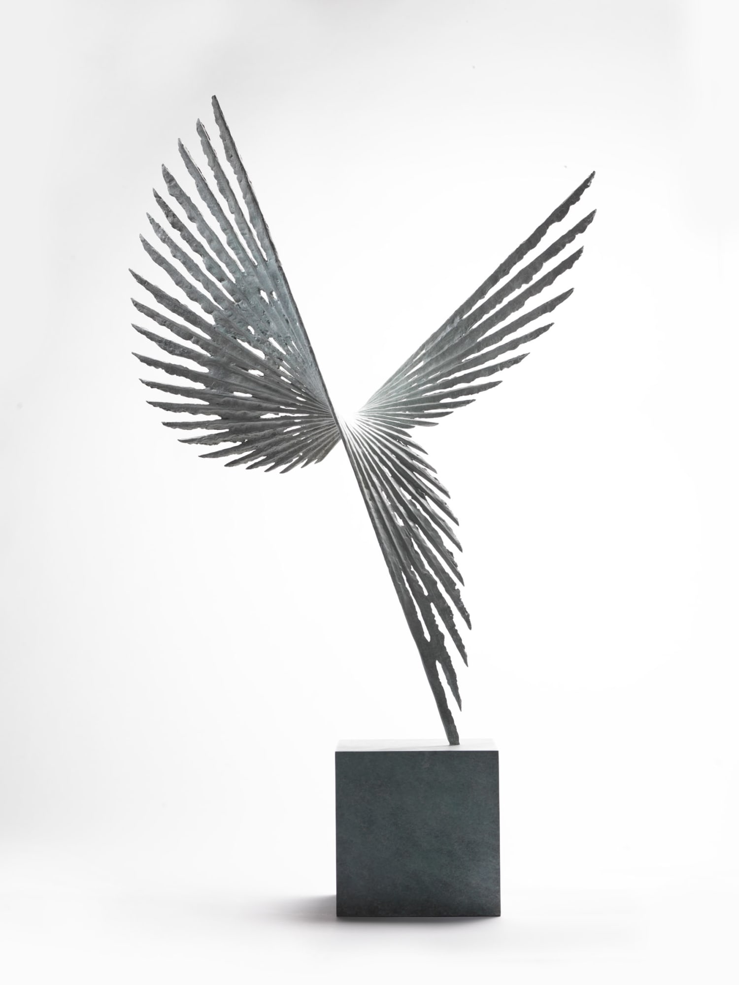 Charlotte Mayer, Solar, 2009 | Pangolin London