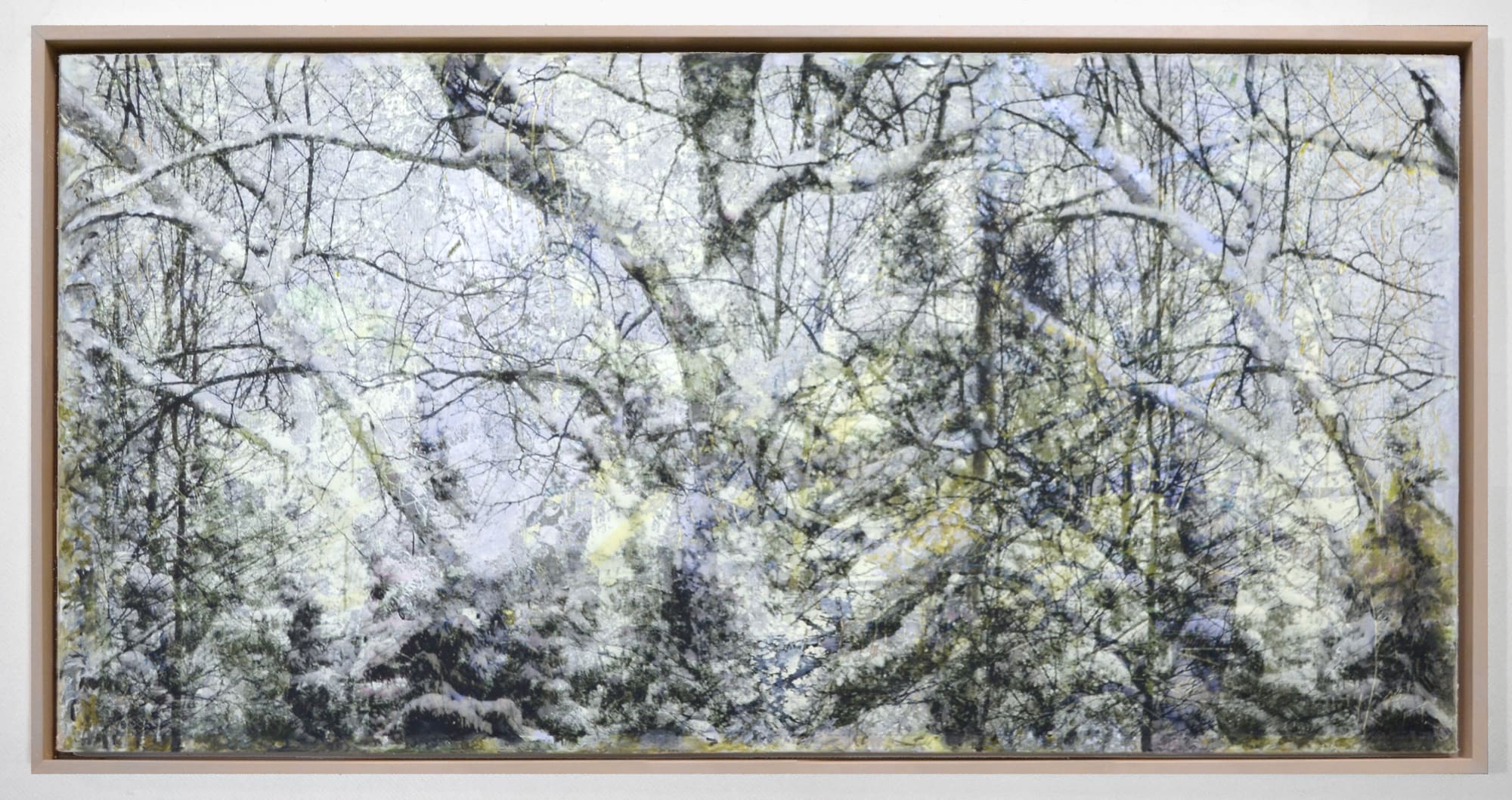 Robin Smith Peck, In the Woodlands #2, 2025 | Peter Robertson Gallery