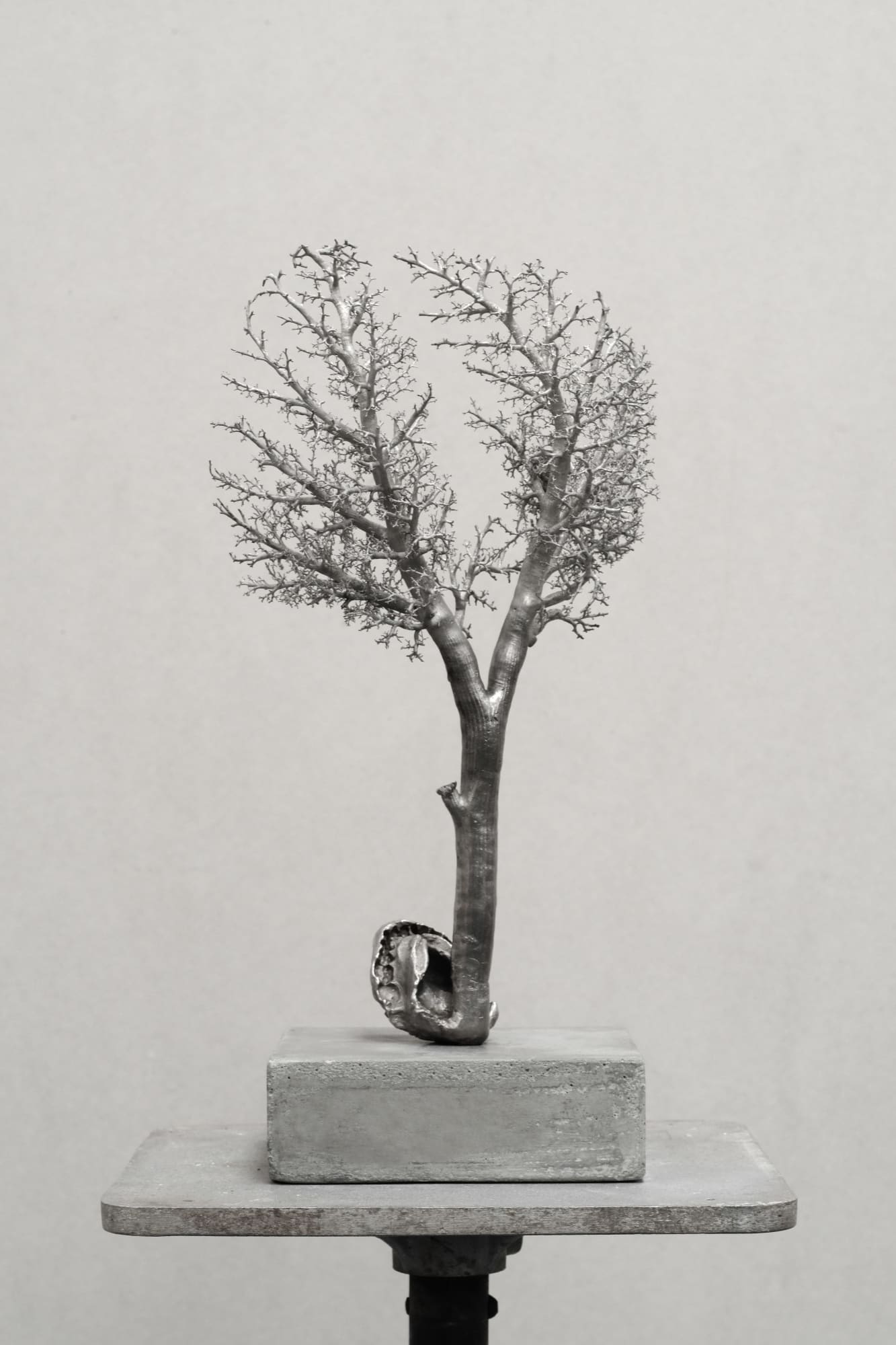 Alexi Williams, Inner Self II, 2023 | Ruth Borchard Collection
