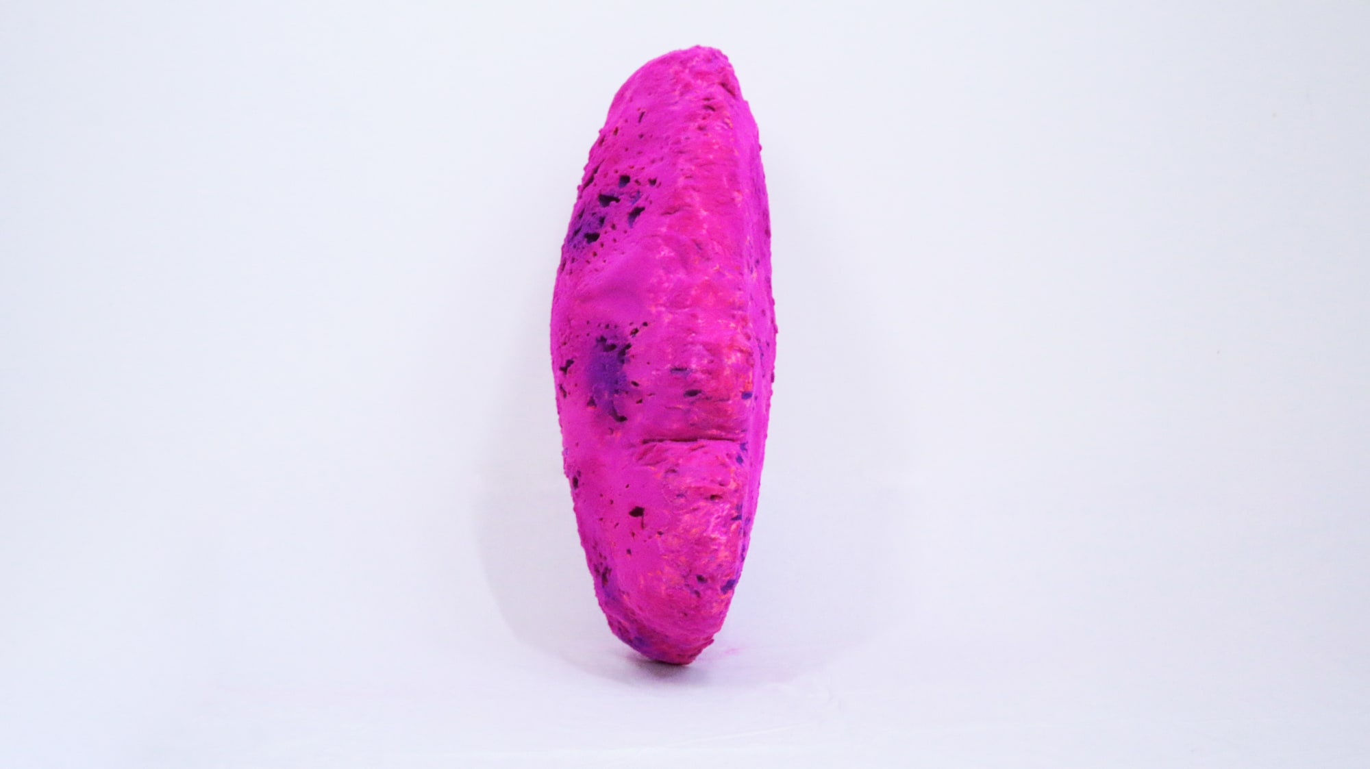 Pedro Matias, Stylophora pistillata Coralia | Rademakers Gallery