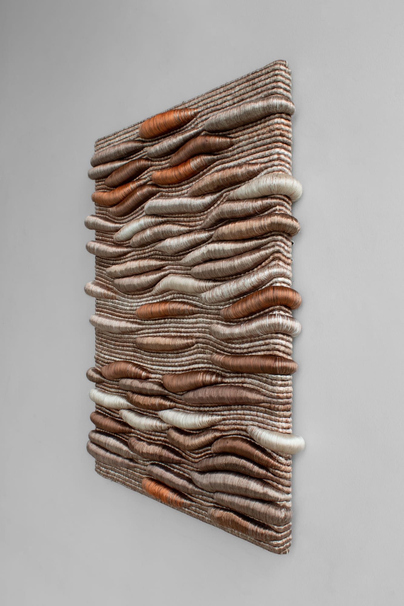 Joana Schneider, Zebra Fish | Rademakers Gallery