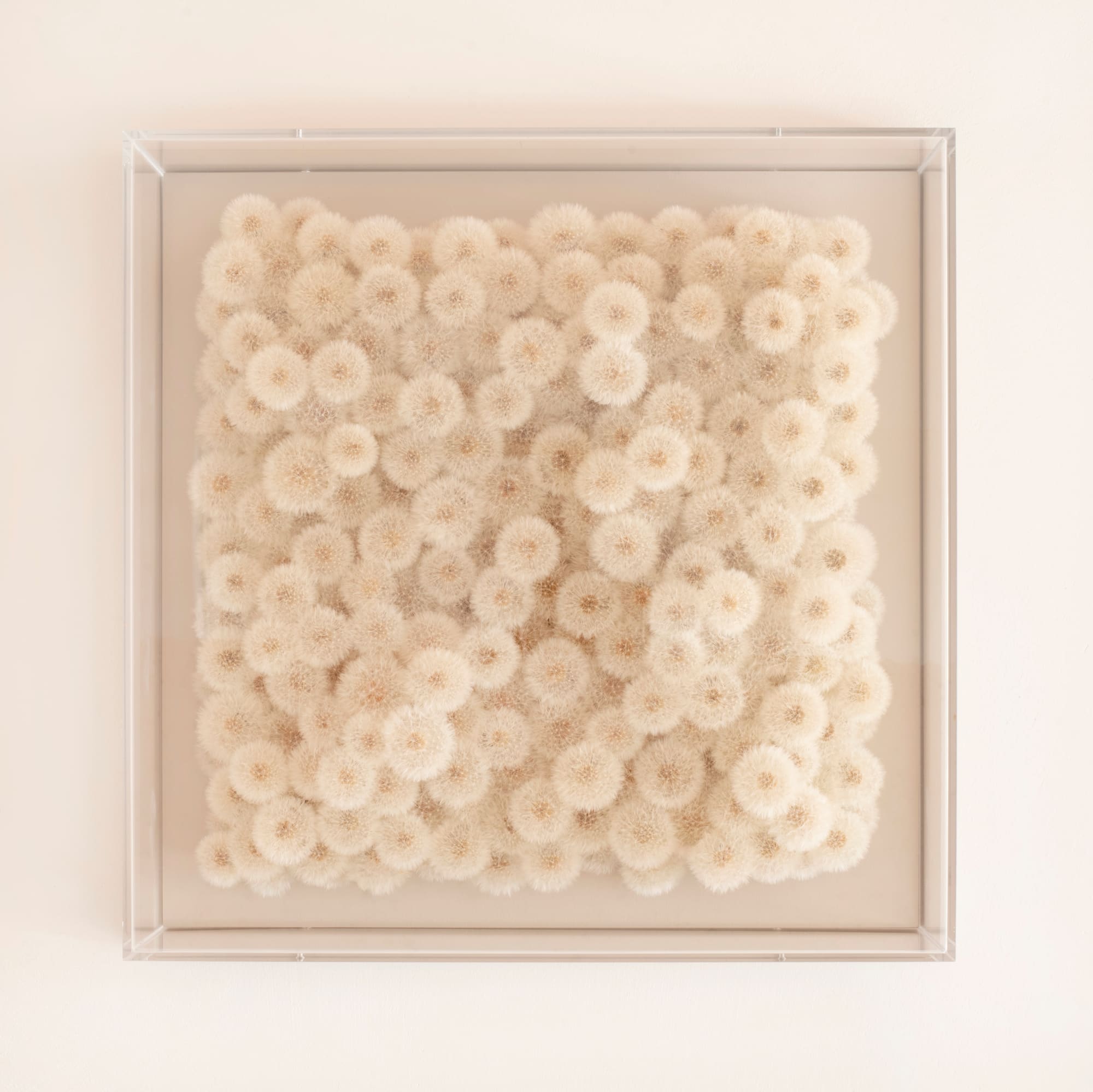 Hilde Trip, Wish full | Rademakers Gallery