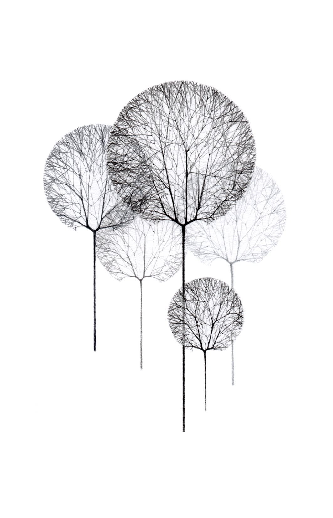 Jackie Case, Line Trees, 2014 | Rebecca Hossack Art Gallery