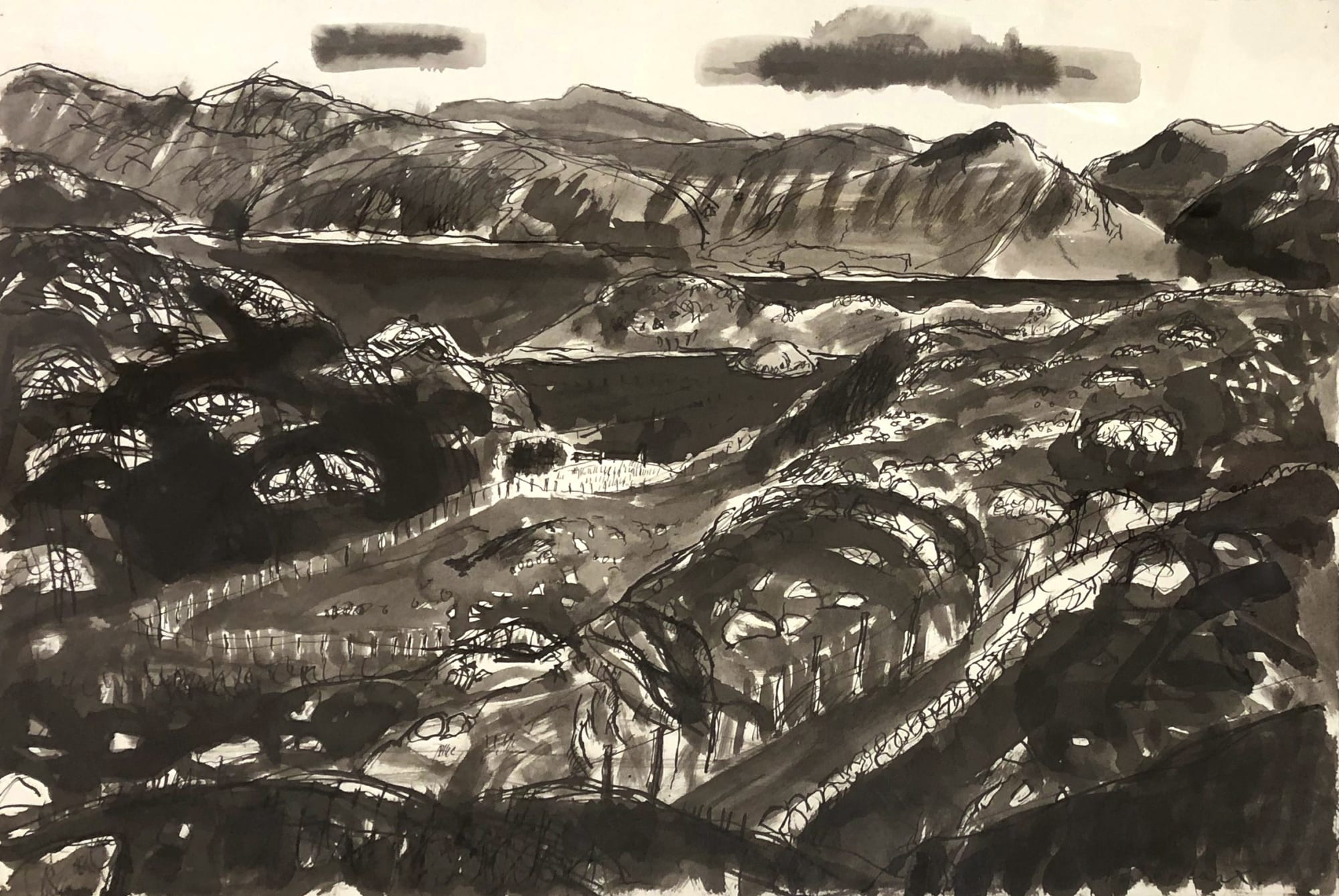 Paul Furneaux RSA, Lewis: small farm looking towards Cairisadar | Royal ...