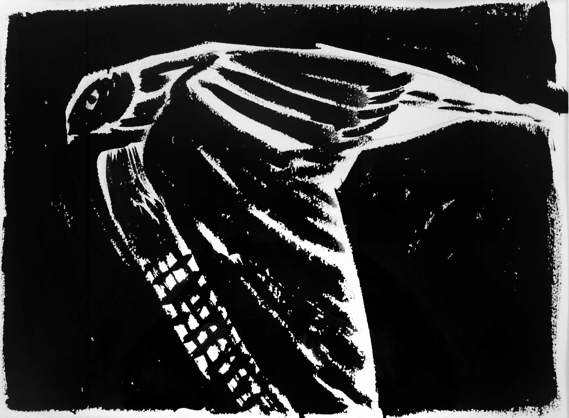 Kate Whiteford RSA, Nero After Emily Brontë’s Merlin Hawk Study for ...