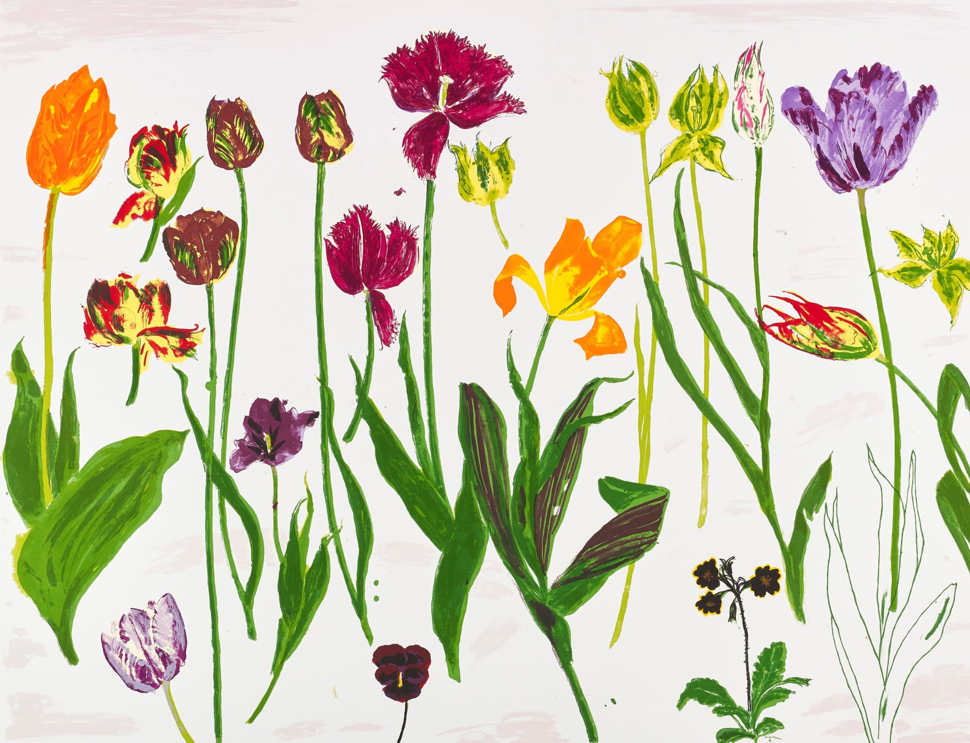 Elizabeth Blackadder RSA, Tulips | Royal Scottish Academy
