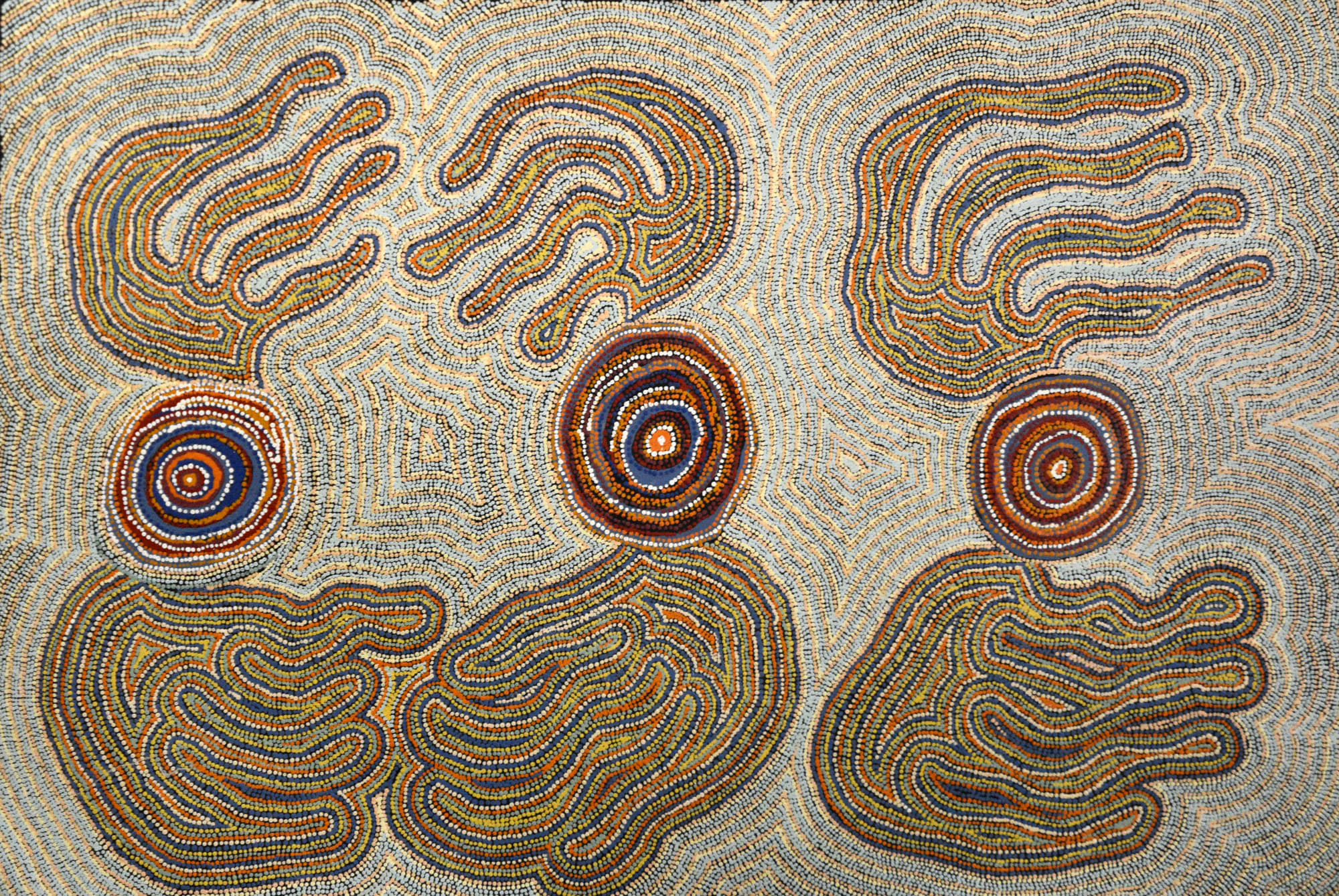 Imiyari (Yilpi) Adamson, Kaliny-kaliny / Honey Grevillea, 2022 | Short ...