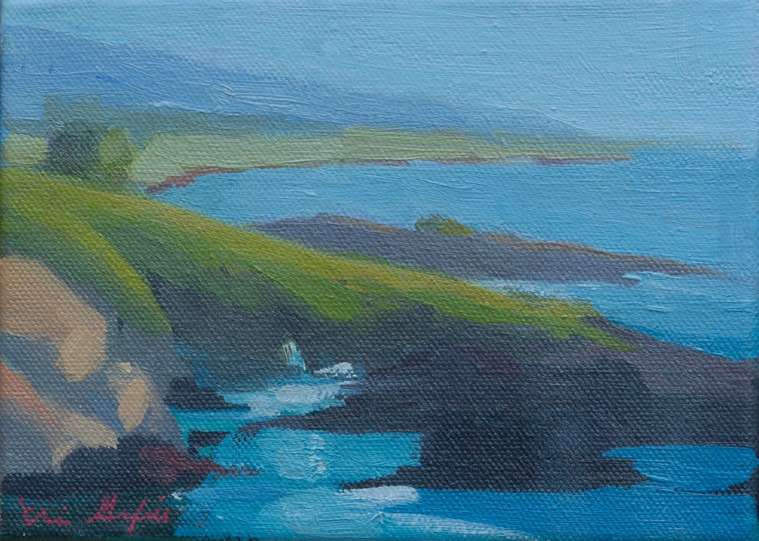 Erin Lee Gafill, California Cove, 2025 | MEUSE Gallery