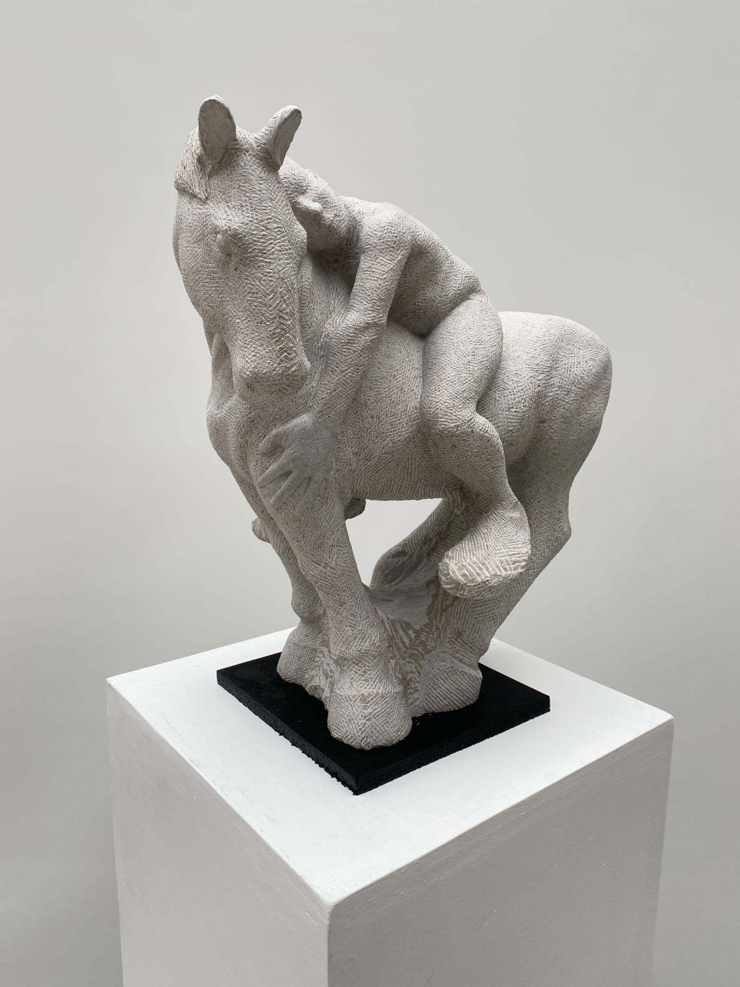 Michael Quane RHA, Horse with a Figure | Solomon Fine Art