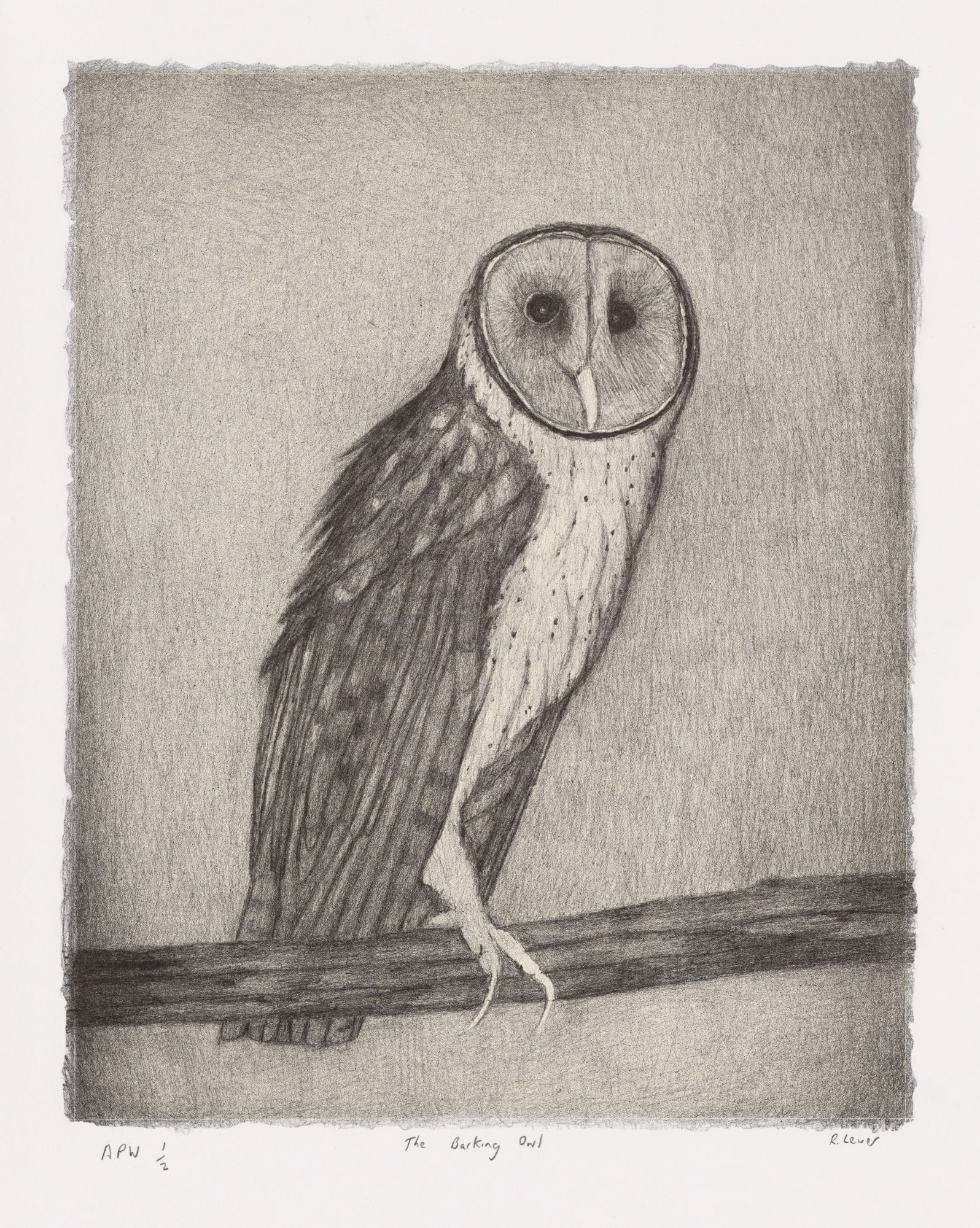 Richard Lewer, The Barking Owl, 2023 | {Suite} Gallery