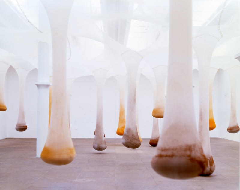 Ernesto Neto, Installation view Trace, First Liverpool Biennial, Tate ...