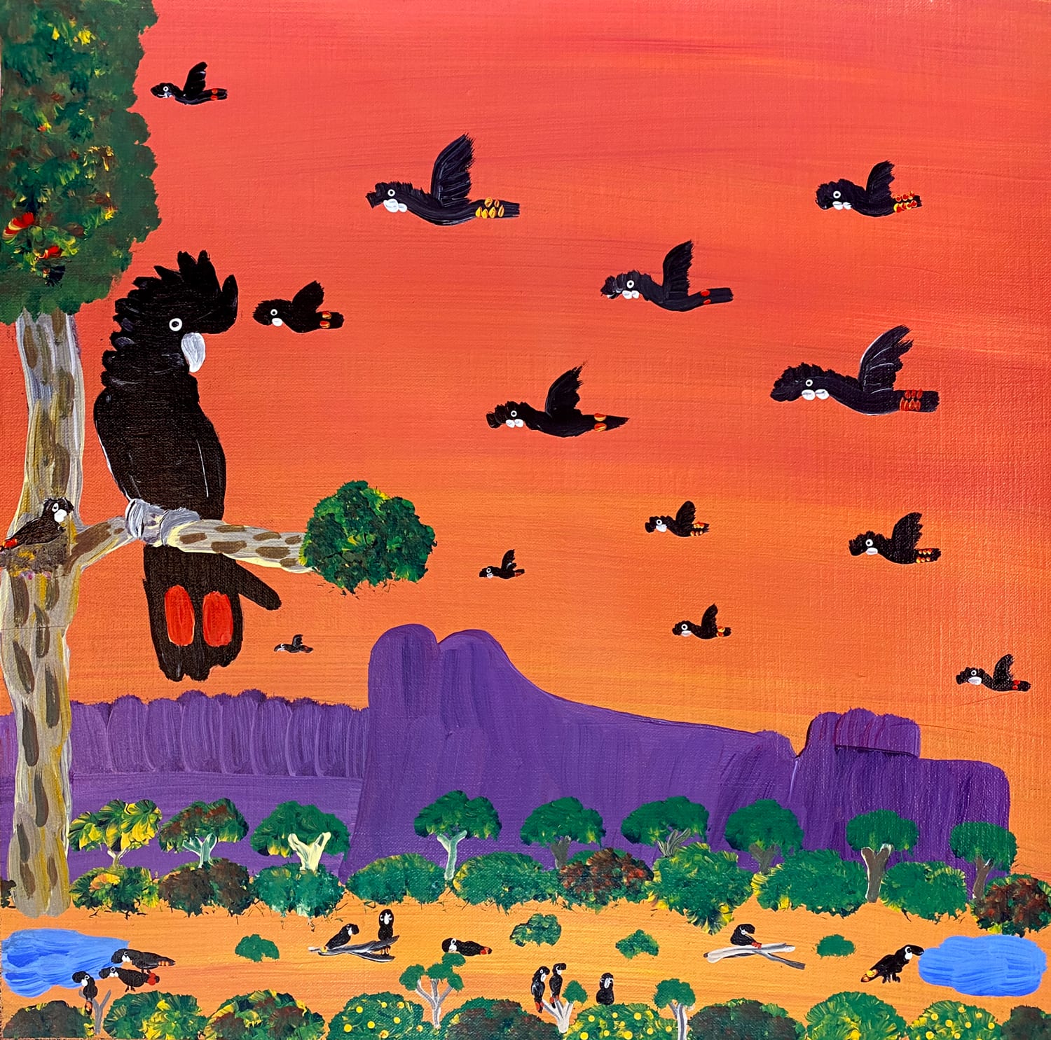 Kukula McDonald, Red-bums (Black Cockatoos) in Trees and Flying West by ...
