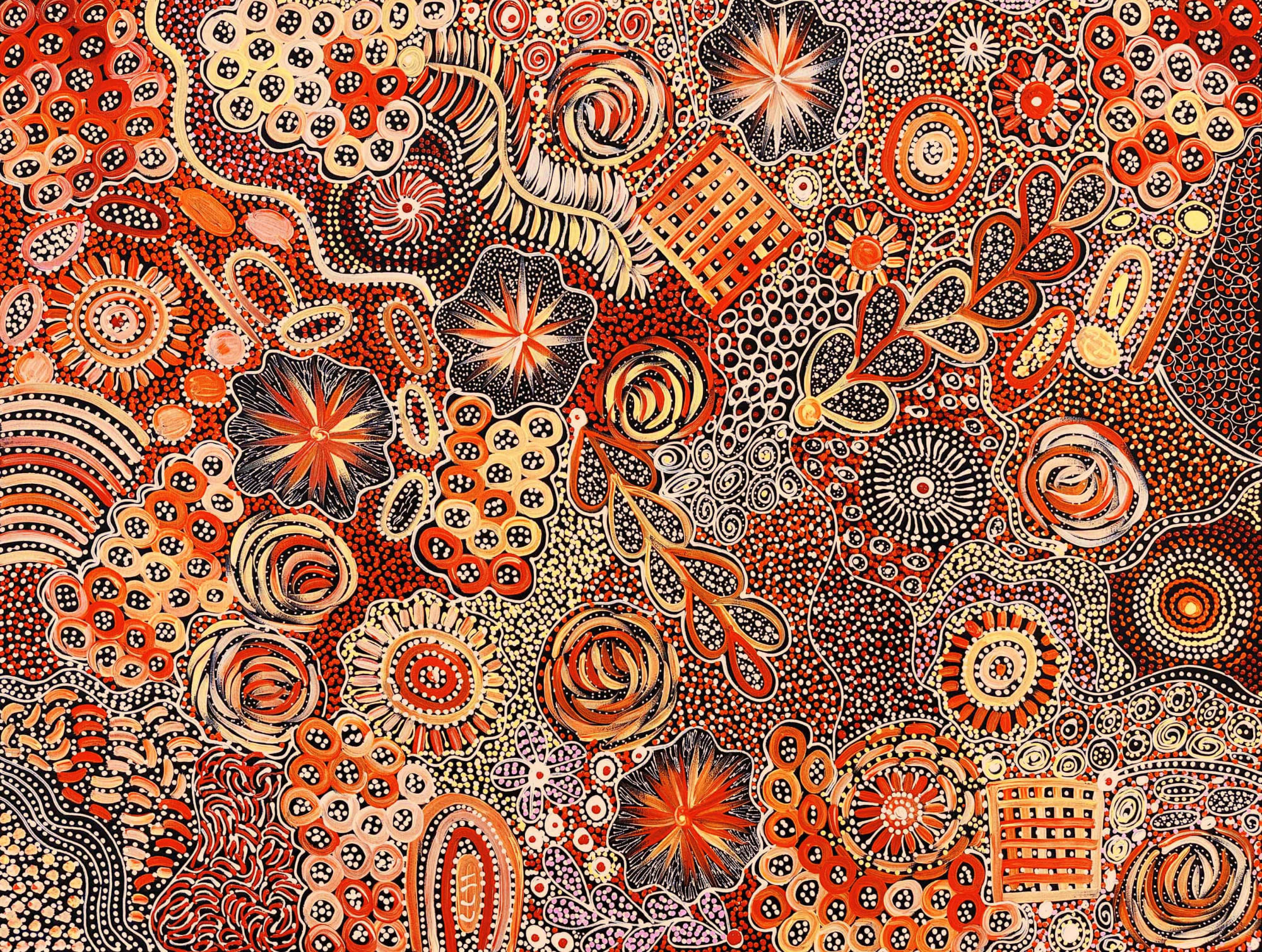 Art by Aboriginal artist Janet Golder Kngwarreye | This Is Aboriginal Art