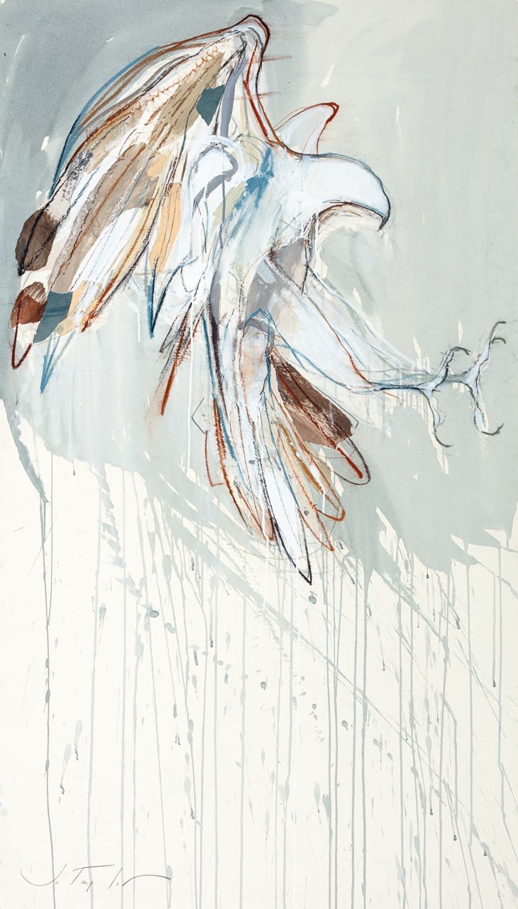 Jo Taylor, Storm Bird | Thompson's Gallery