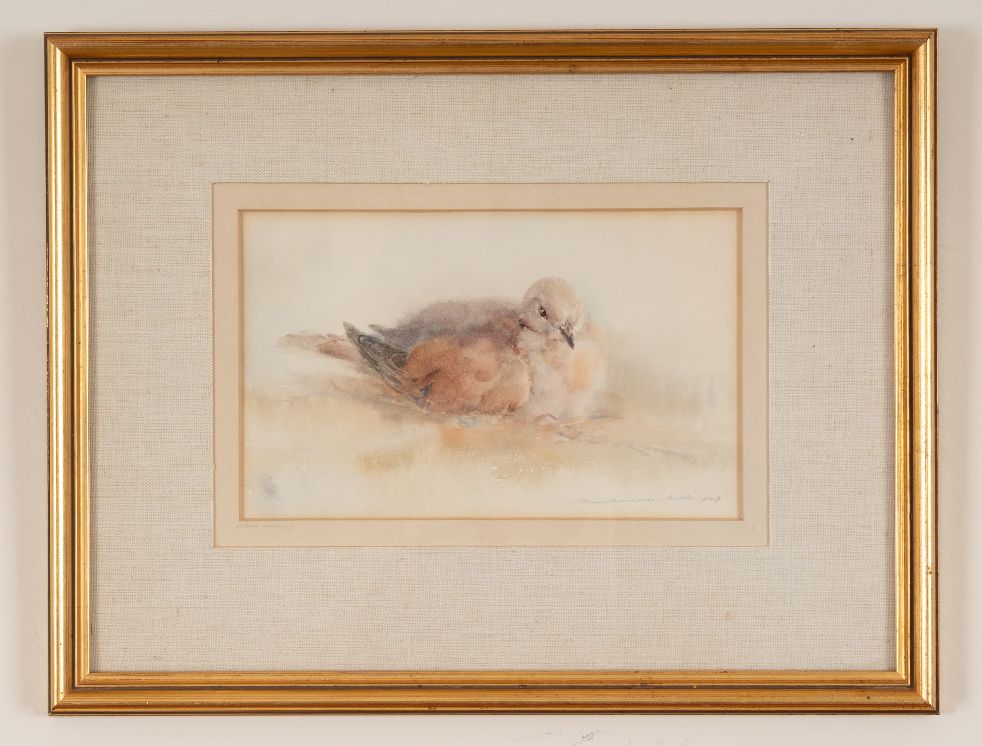 Ian Armour-Chelu, Dove Resting, 1989 | Thompson's Gallery