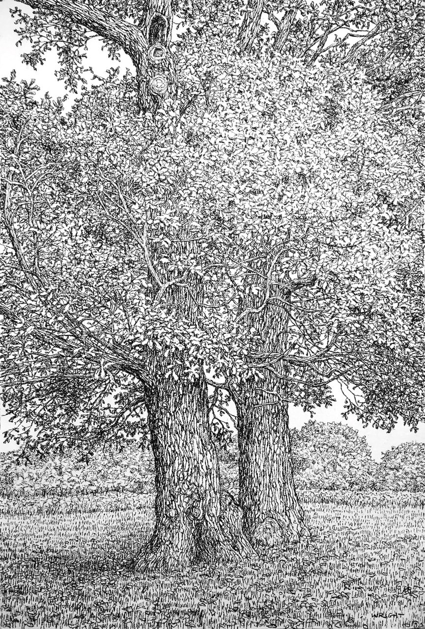 Roy Wright PS, The Autumn Leaves Come Tumbling Down | Thompson's Gallery