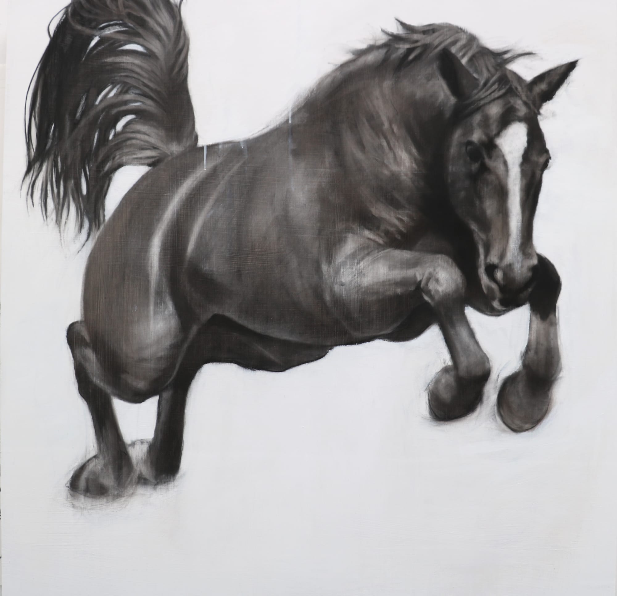 Patsy McArthur, Voyage | Thompson's Gallery