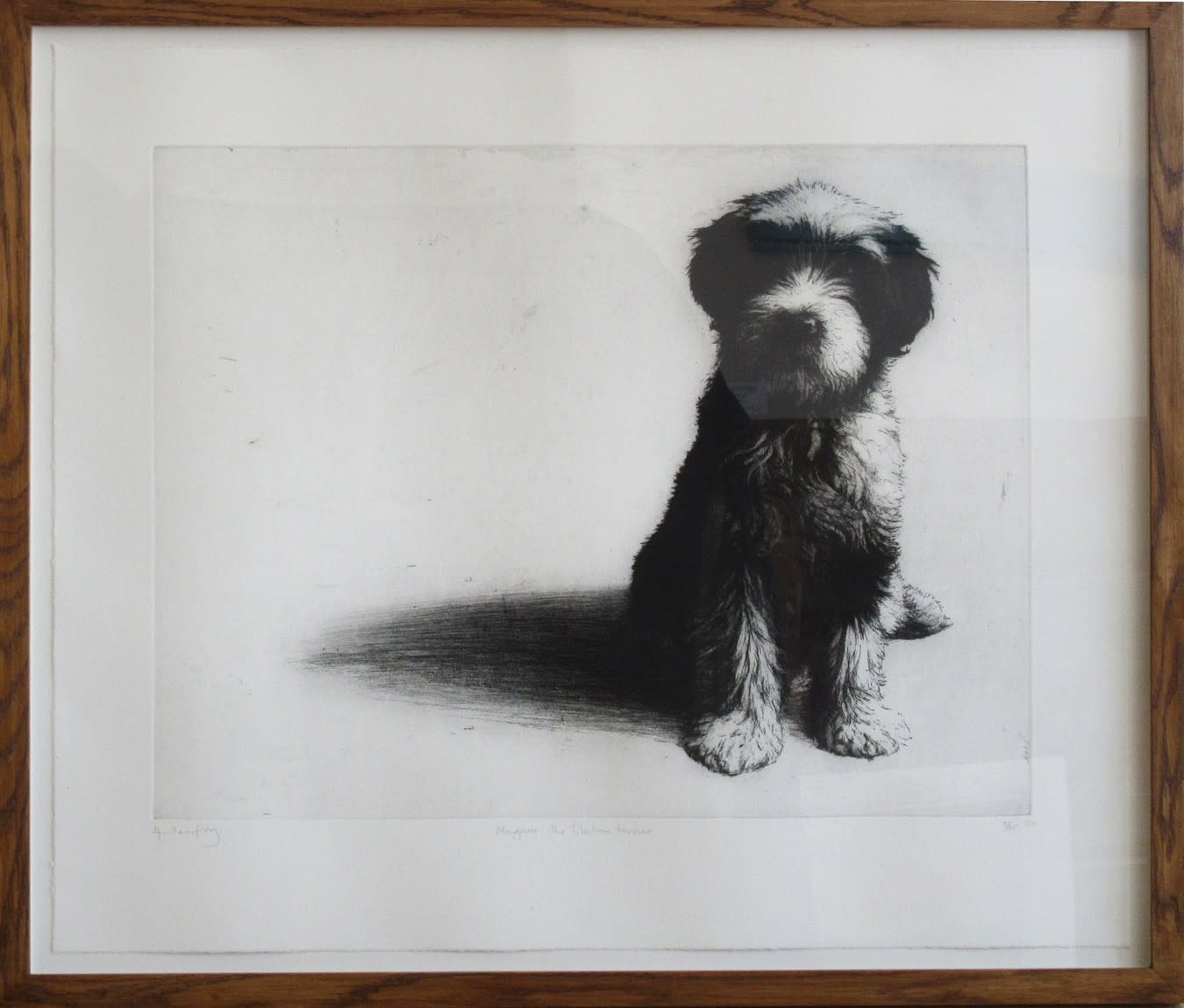 Helen Fay, Magnus | Thompson's Gallery