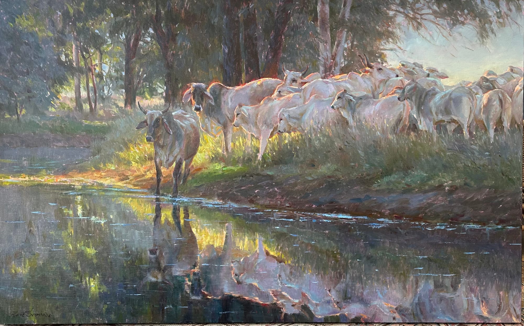 René Snyman, Cattle Approaching Still Water | Thompson's Gallery