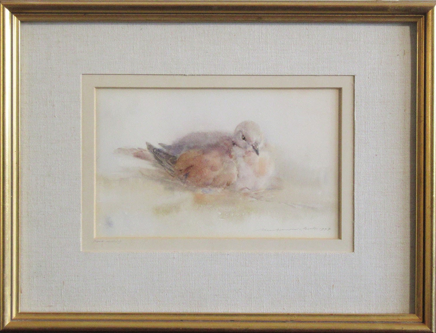 Ian Armour-Chelu, Dove Resting, 1989 | Thompson's Gallery