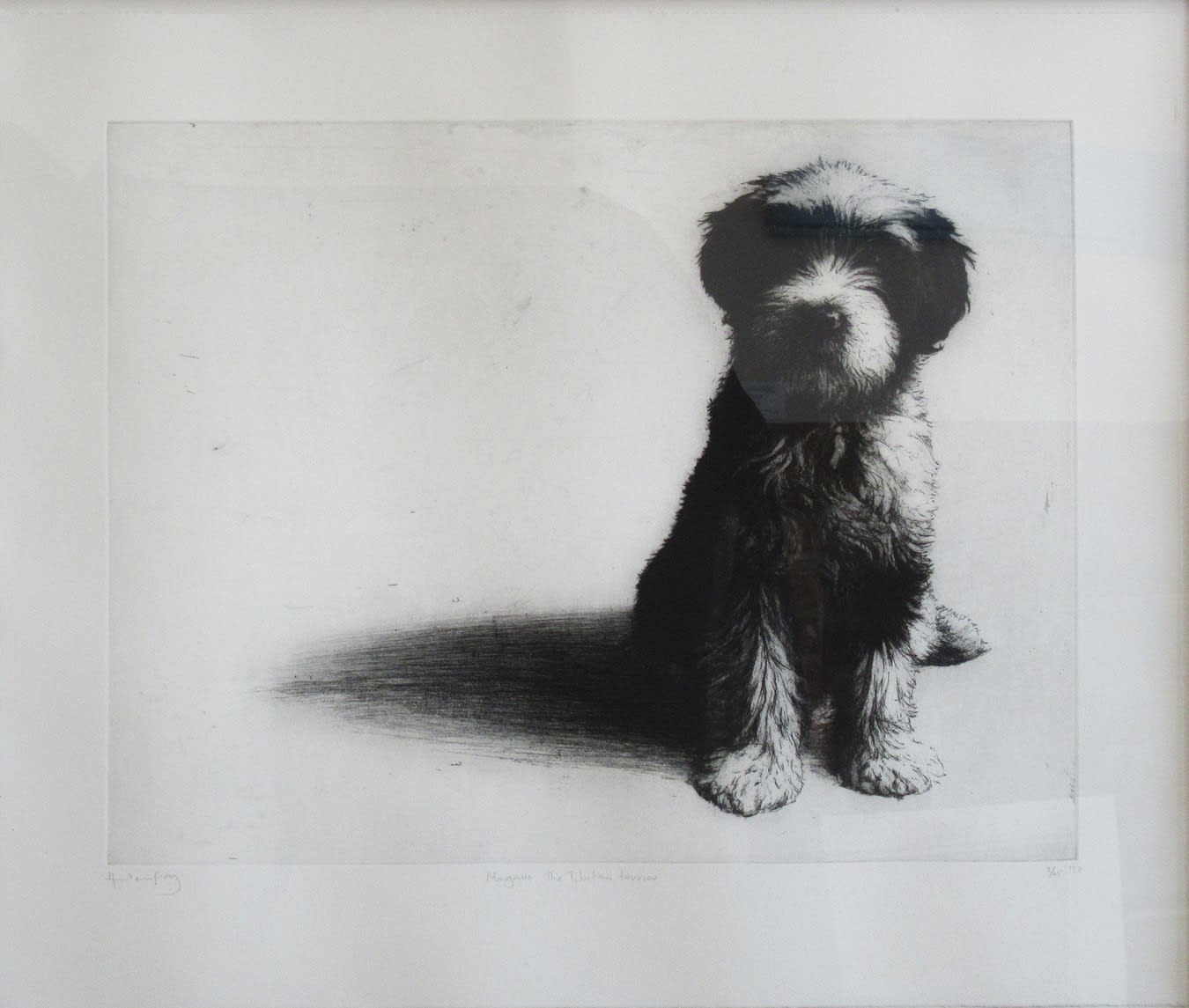 Helen Fay, Magnus | Thompson's Gallery