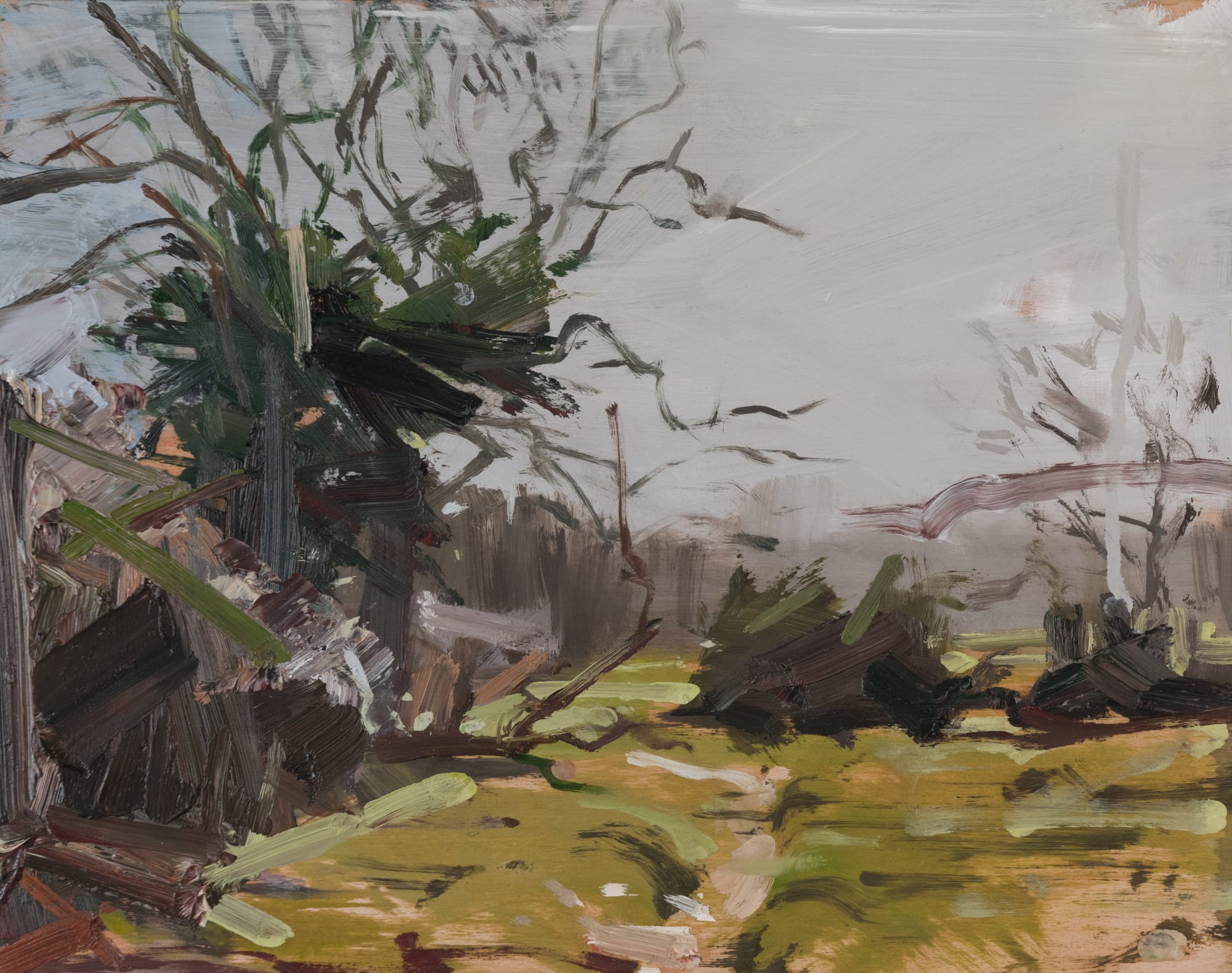 Kate Giles, Contre Jour II, Blackthorn | Thompson's Gallery